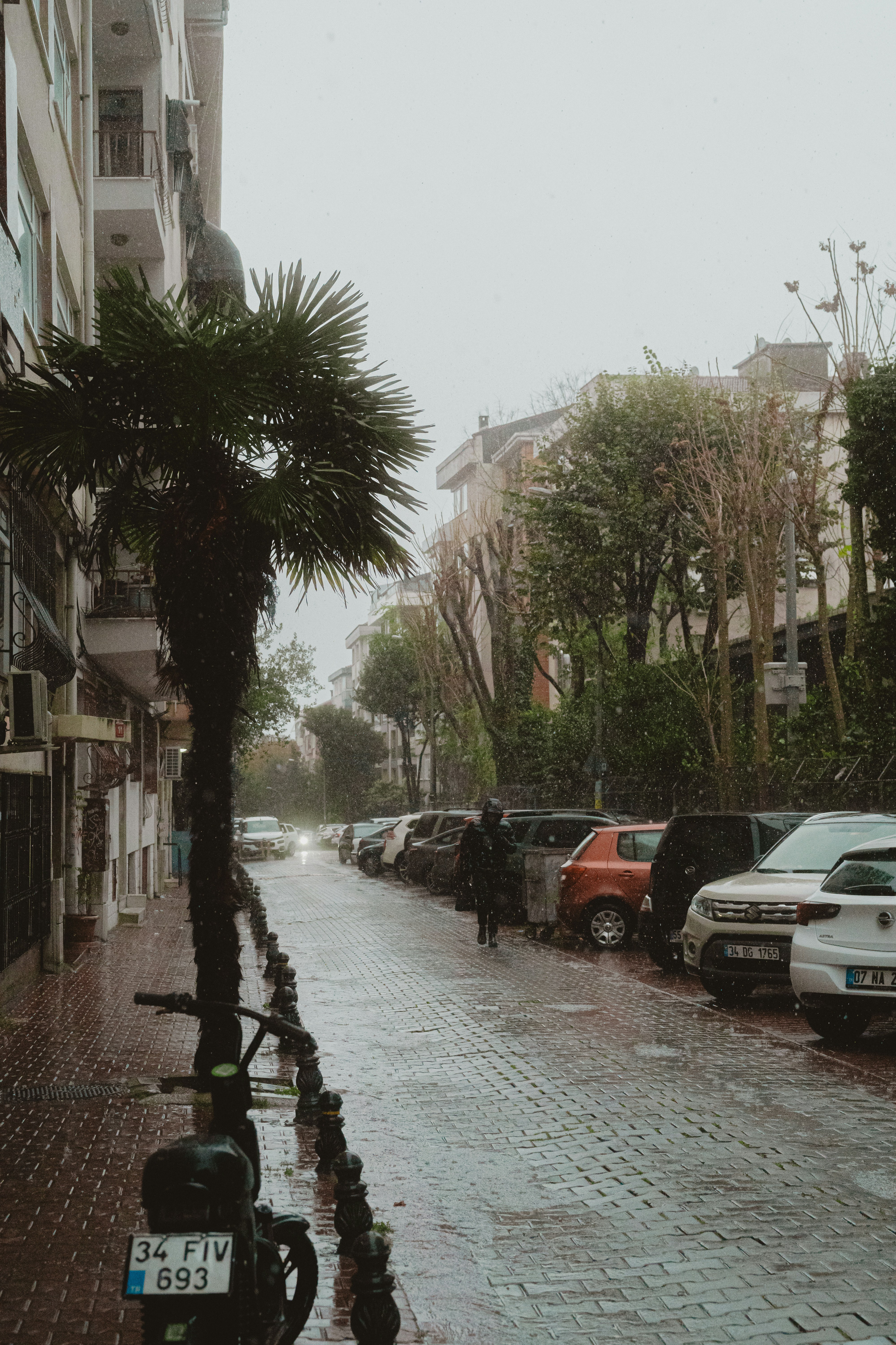 As a 3D artist and designer, I sometimes find myself drawn to photography and living in Istanbul, with all its beauty, has turned that impulse into something truly special. I don’t consider myself a photographer, but I do allow myself to press the shutter when it feels like the right moment to capture something. Sometimes it’s a fleeting scene on the street, something that only asks for my presence and attention. Other times, it’s an image I’ve carefully constructed with intention and patience. | Rainy street with cars and palm tree.