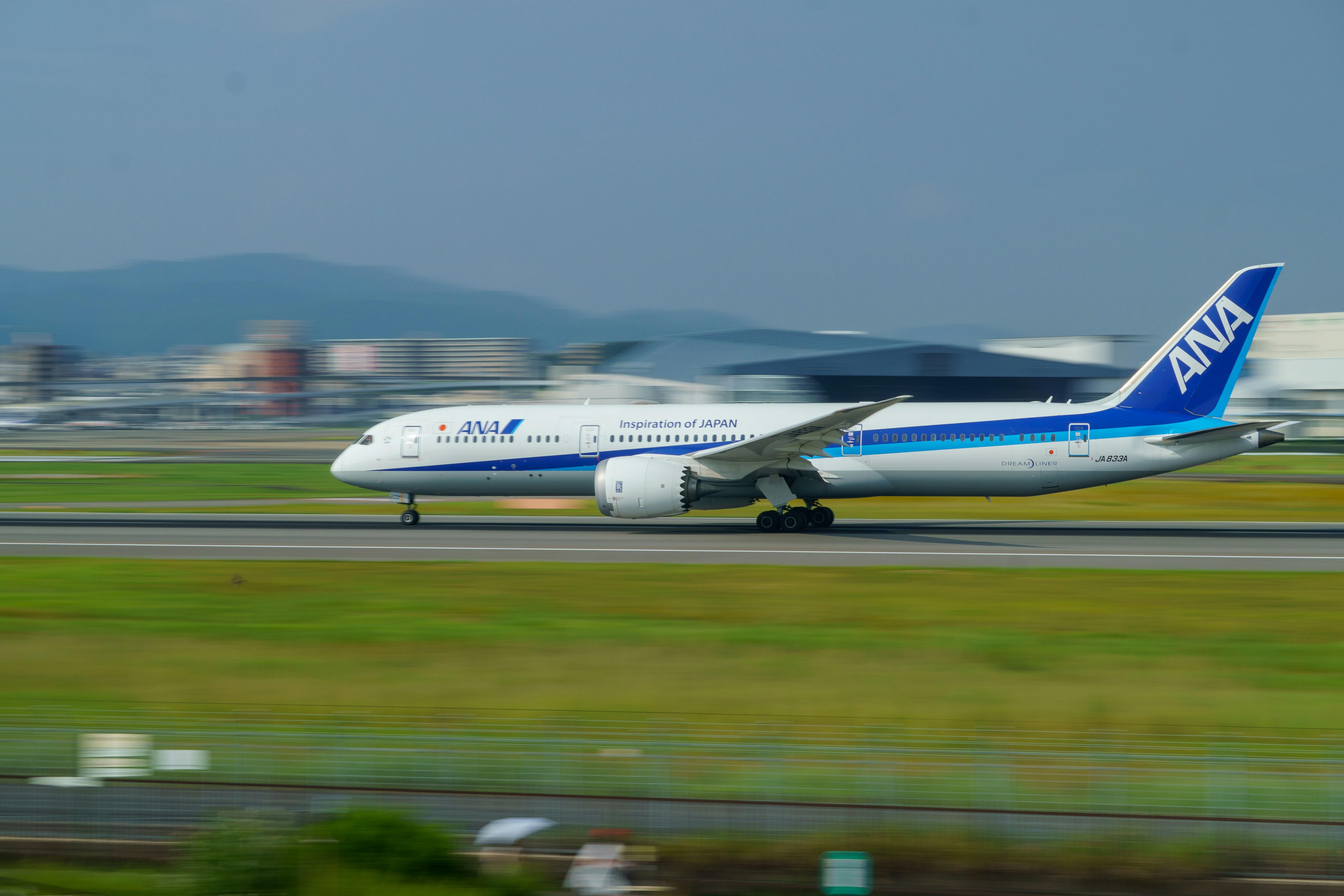 Soaring Through the Skies: The ANA Dreamliner in Motion