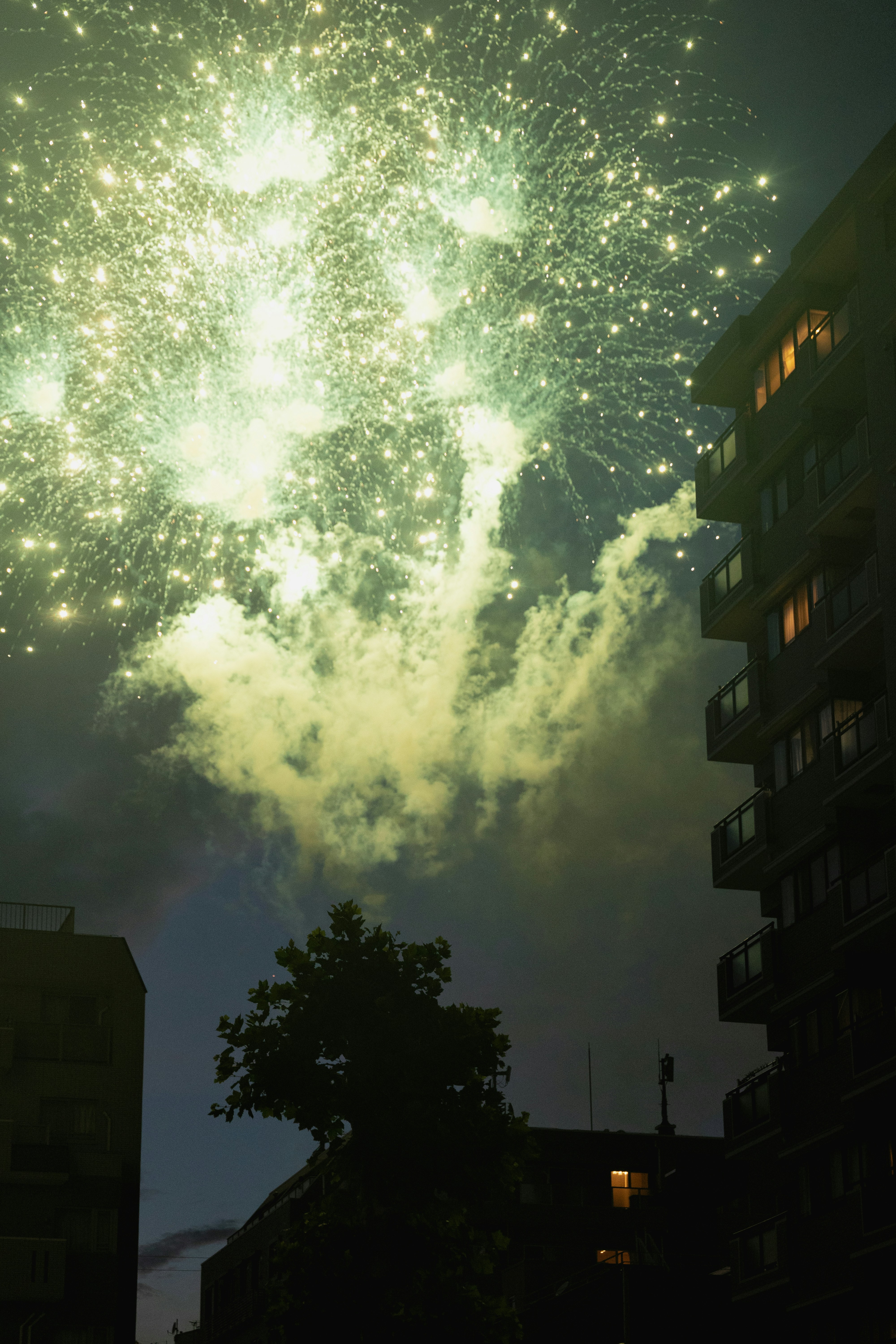 Photo by ayumi kubo with Sony Alpha 7C