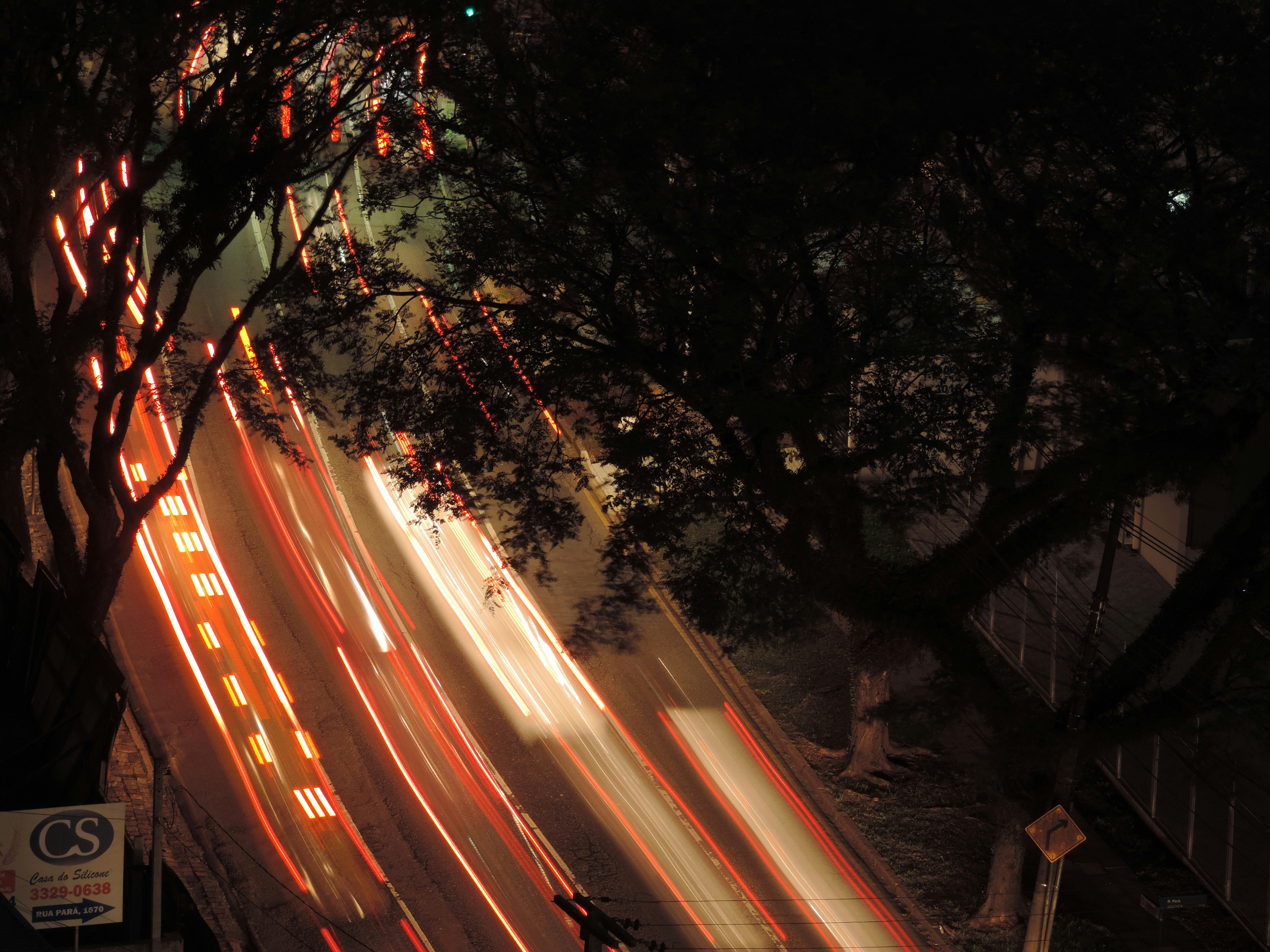 Light trails of vehicles weave through a city street, framed by silhouetted tree branches at night.
