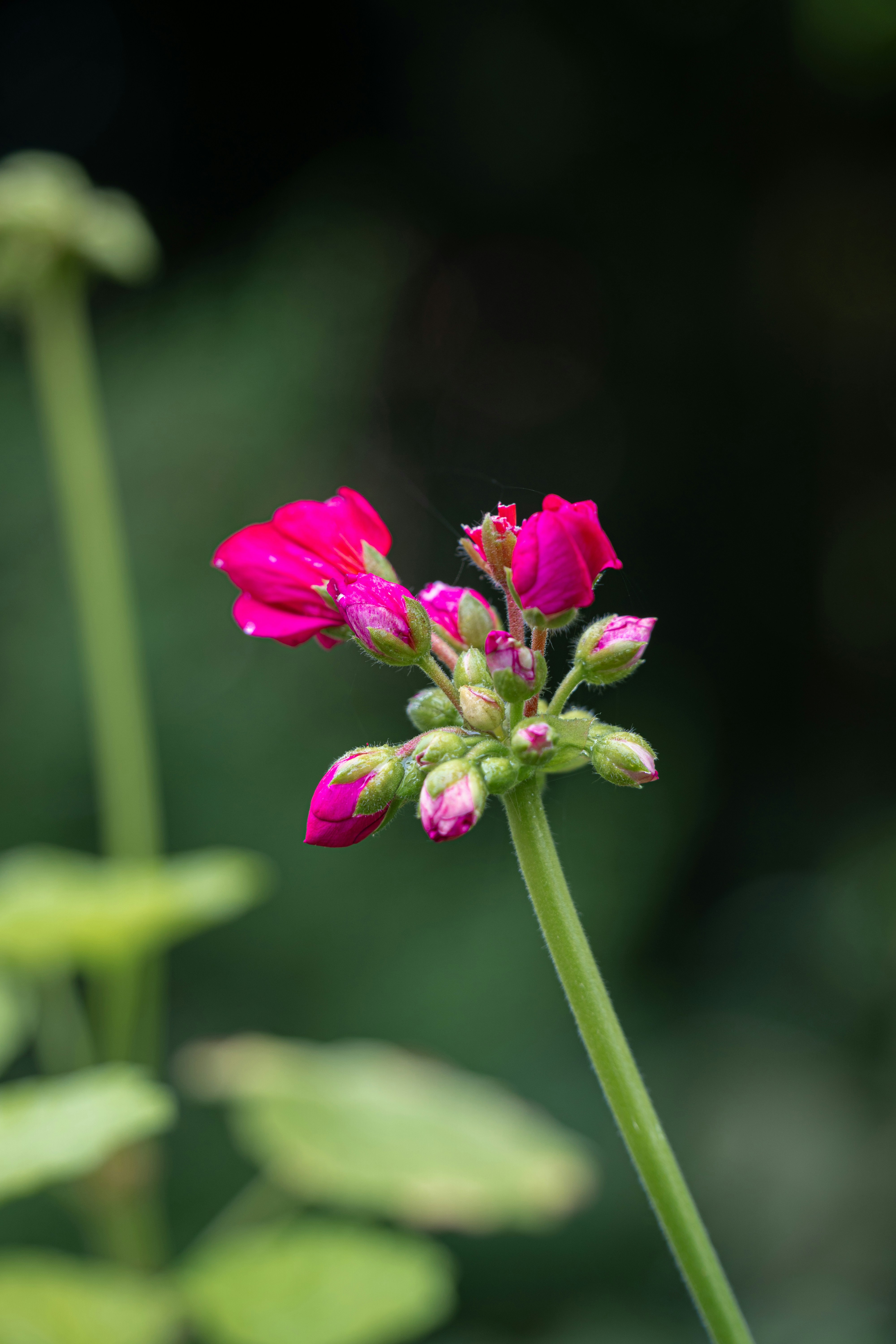 Photo by ARTO SURAJ with Sony Alpha 6400