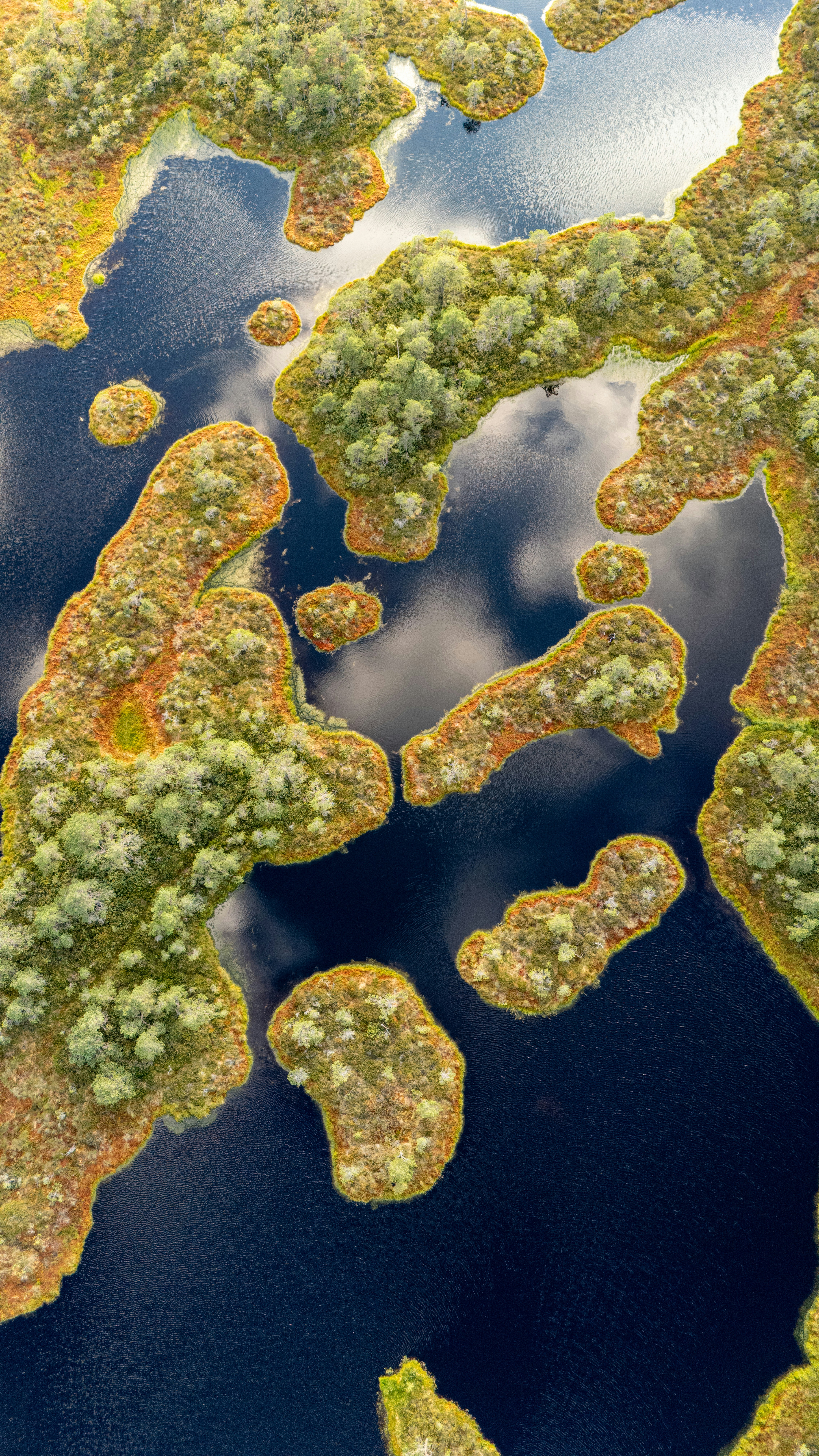 Aerial view showcasing a network of lush green islands amidst a dark blue water body, reflecting the sky above. The intricate patterns of land and water create a captivating natural mosaic.