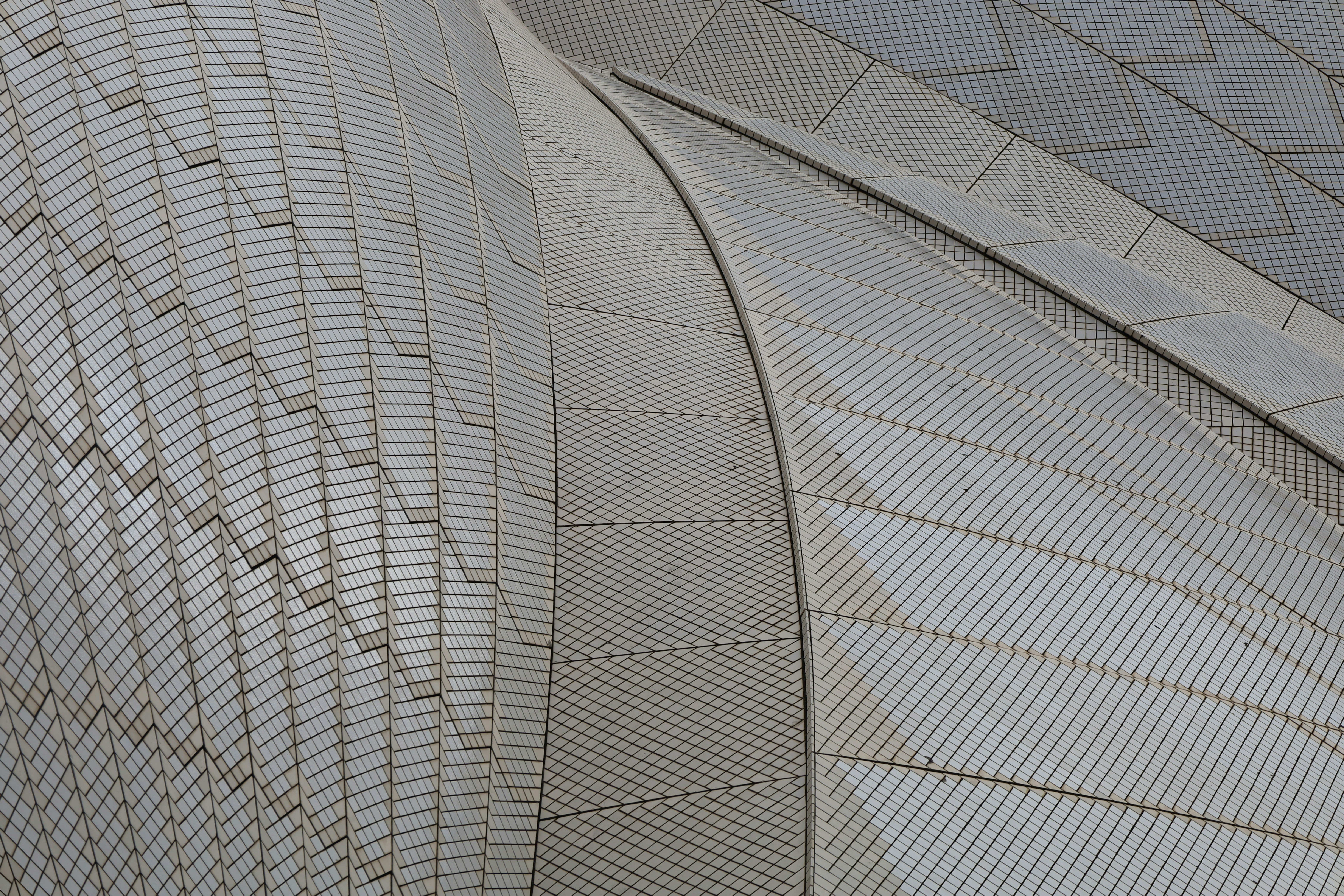 Curves of Innovation: A Study in Architectural Elegance