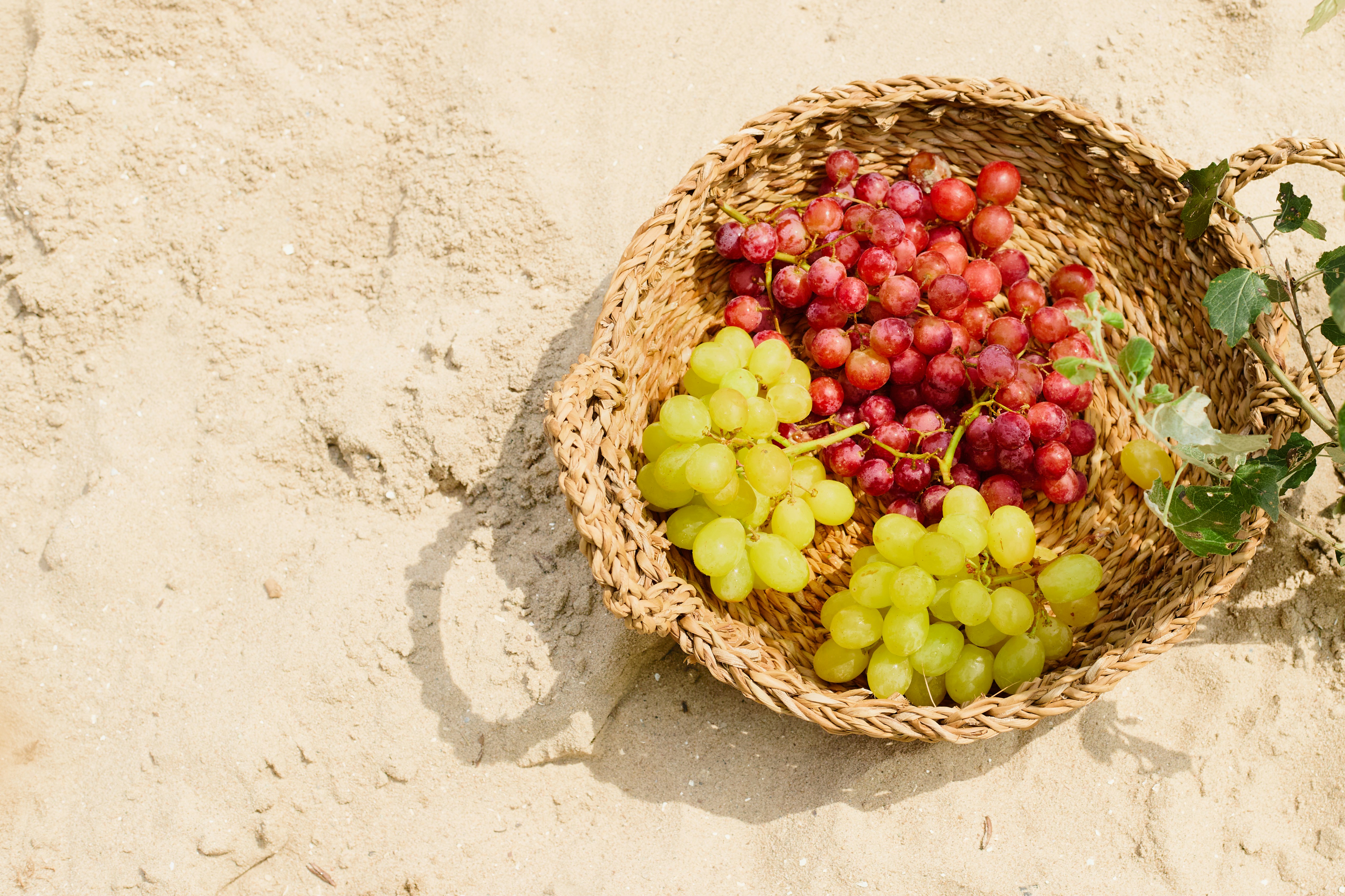 Harvest Harmony: A Basket of Nature's Bounty