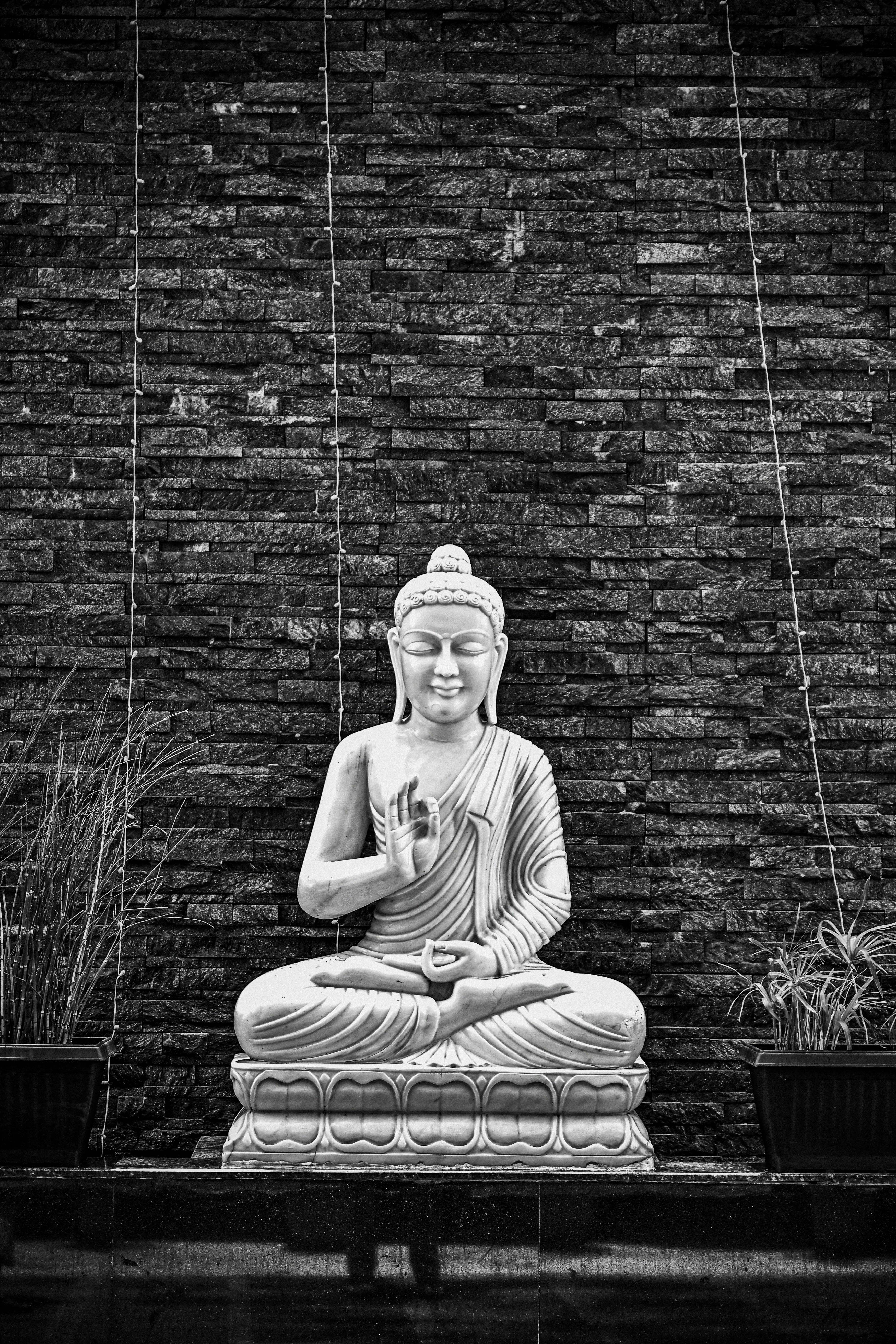 A buddha statue sits peacefully.