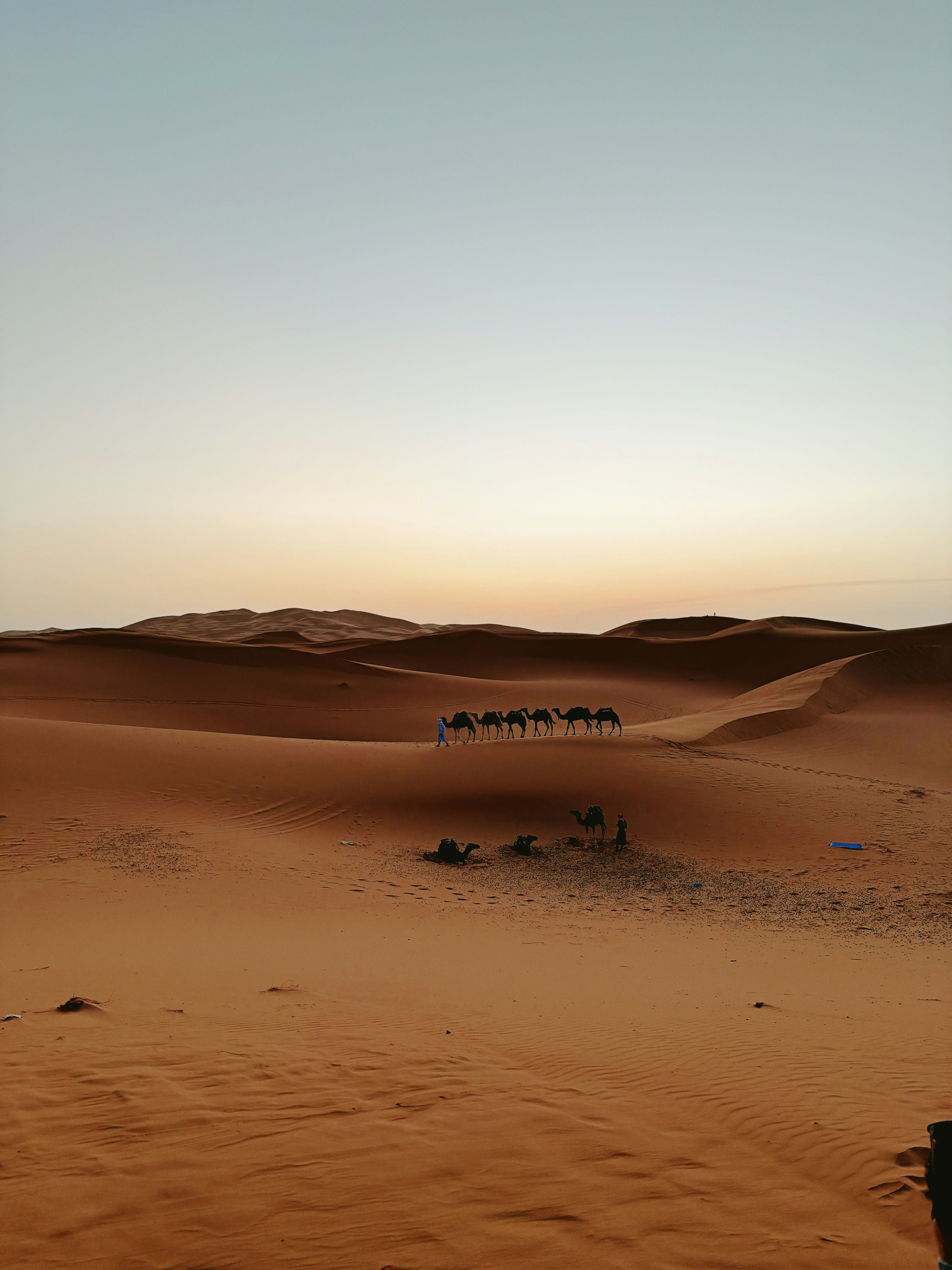 Beautiful desert minimal photography | Camels traverse the desert dunes at sunset.