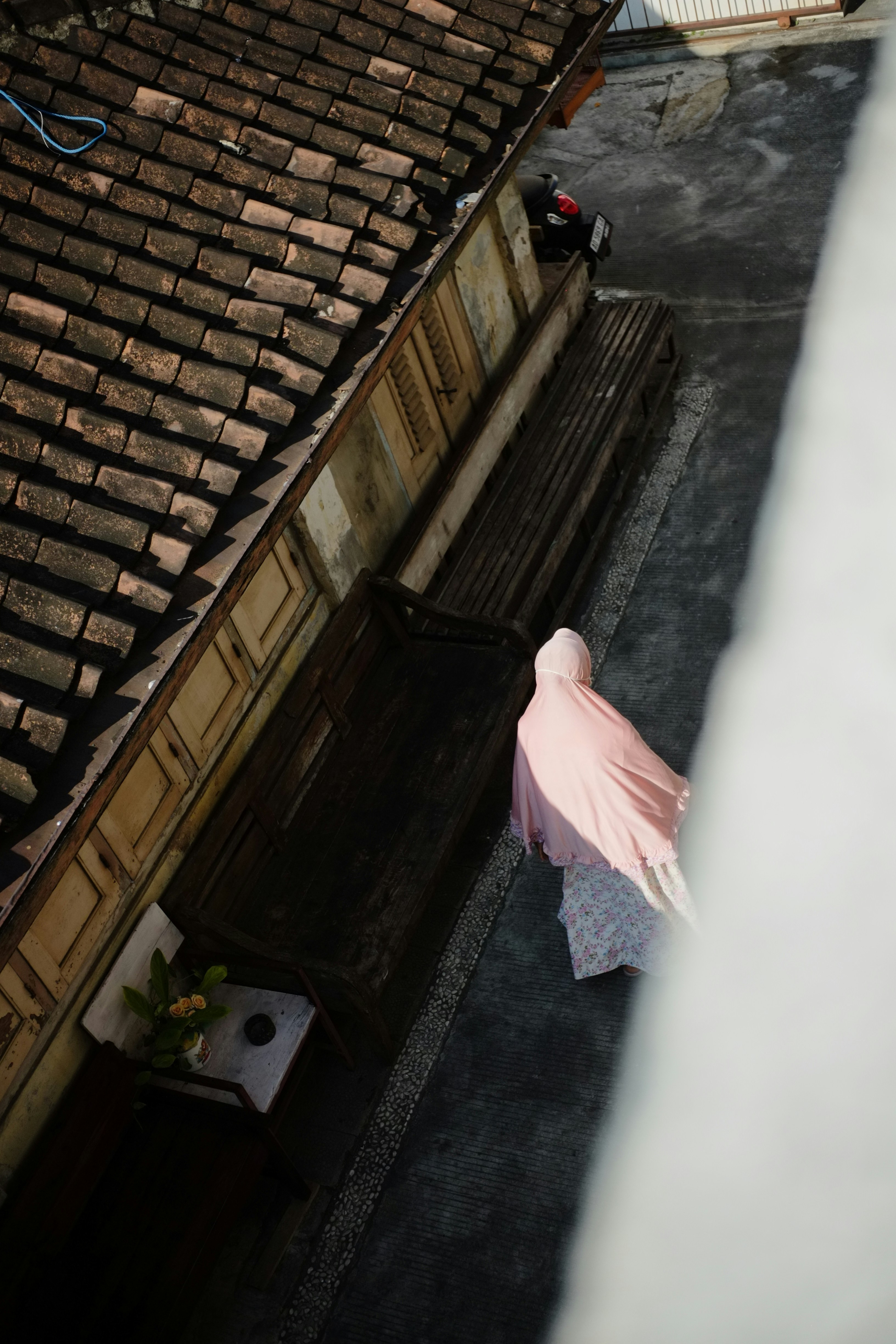 Serenity in Motion: A Glimpse of Daily Life