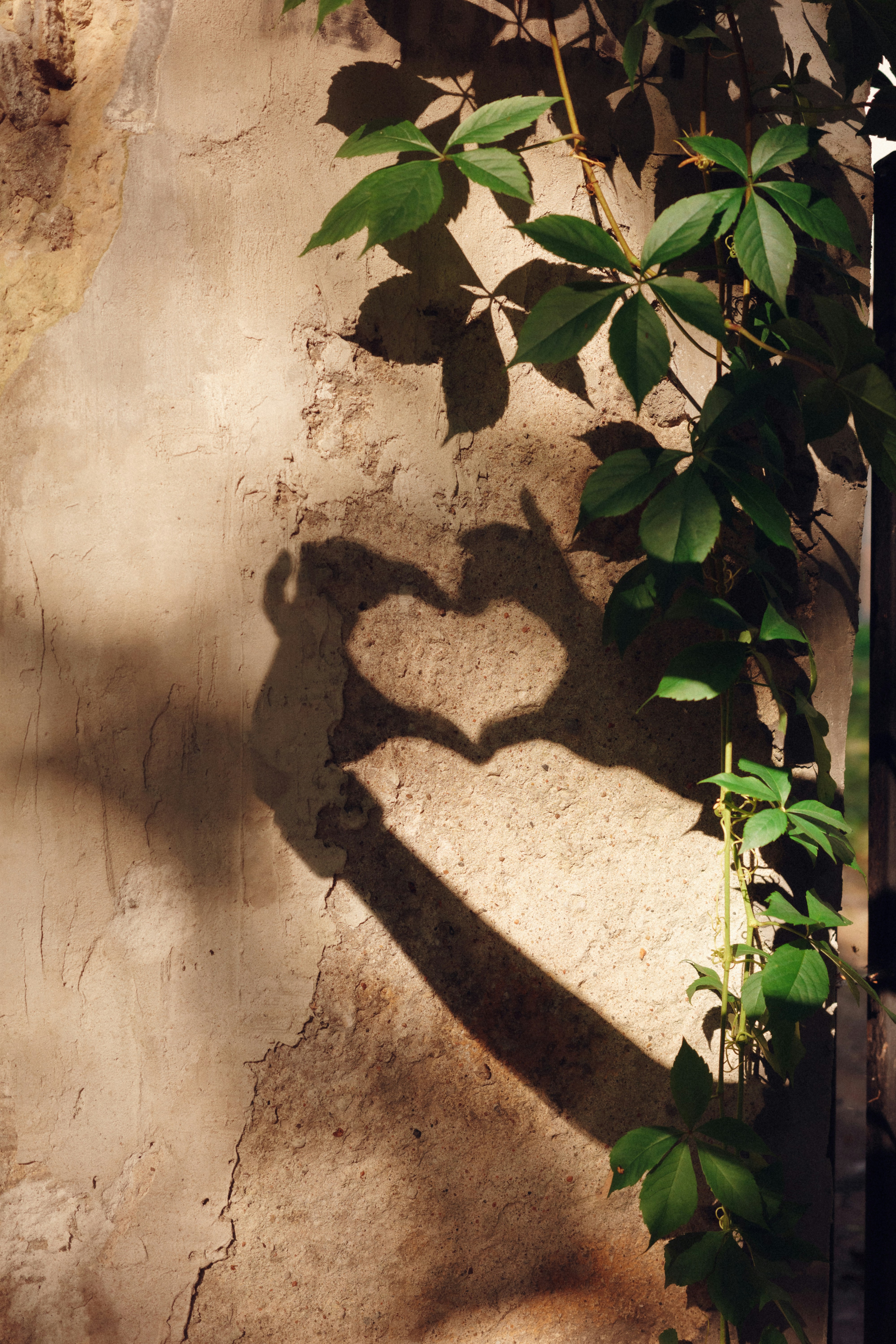 Hands form a heart shadow on a weathered wall.