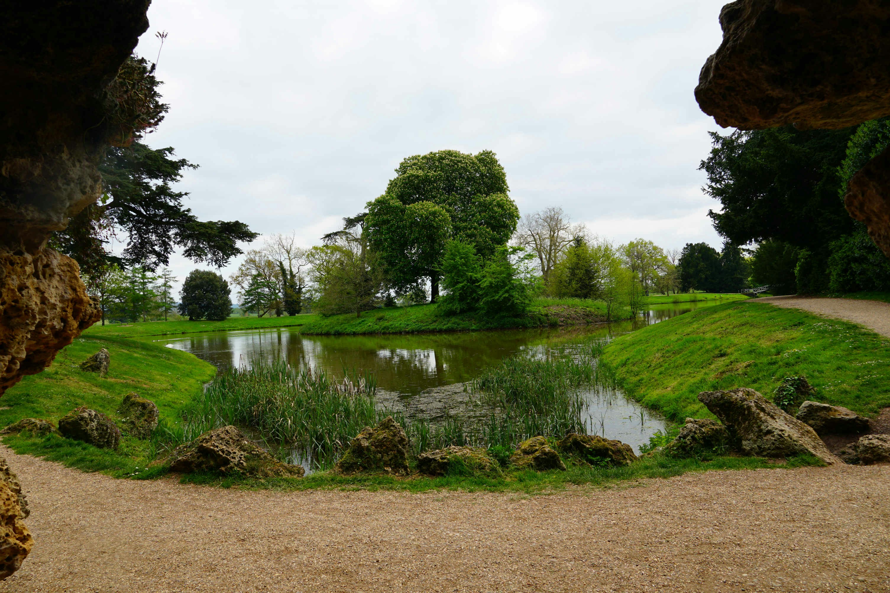 A serene pond and green trees amidst a park.