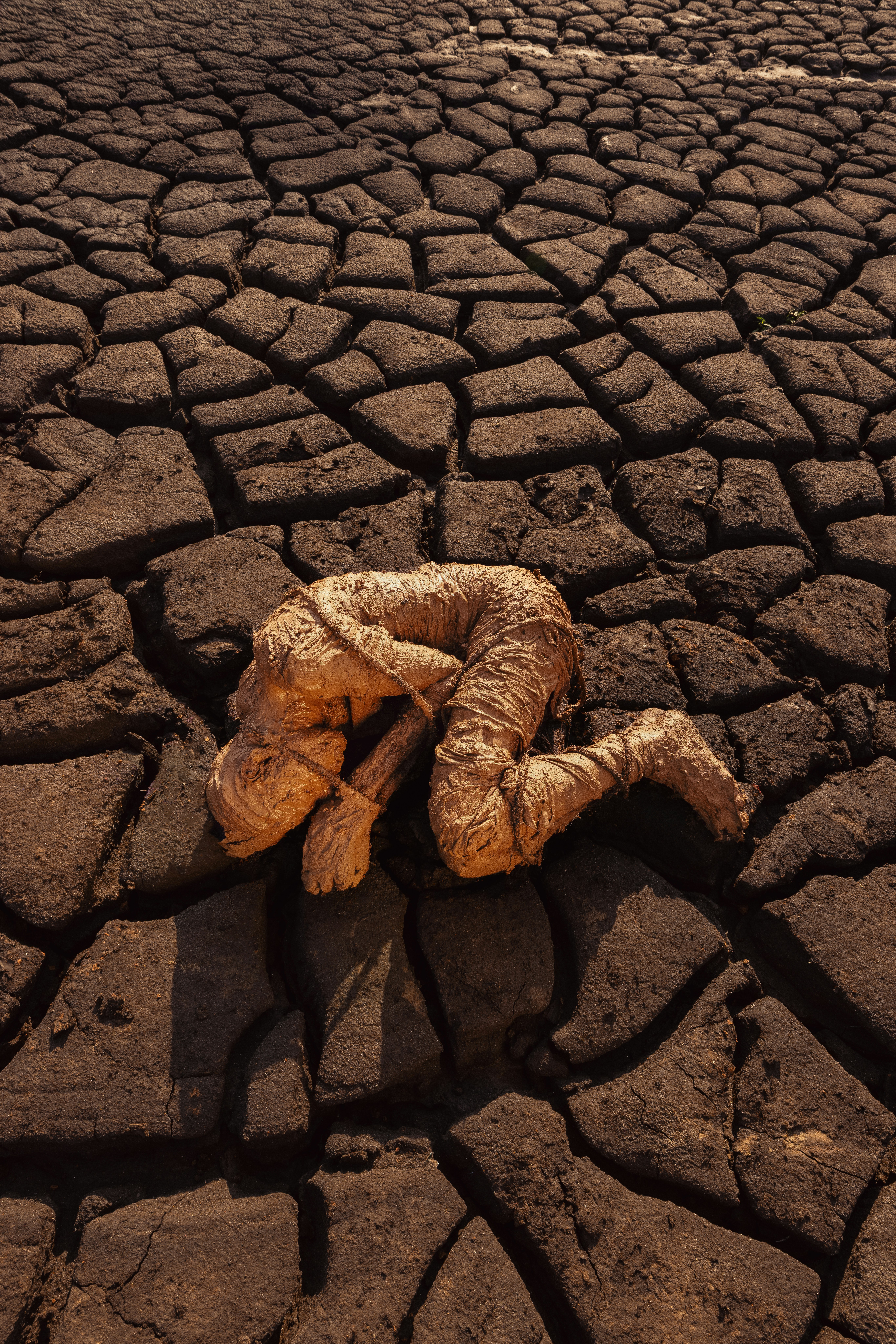 The Silent Cry of Drought