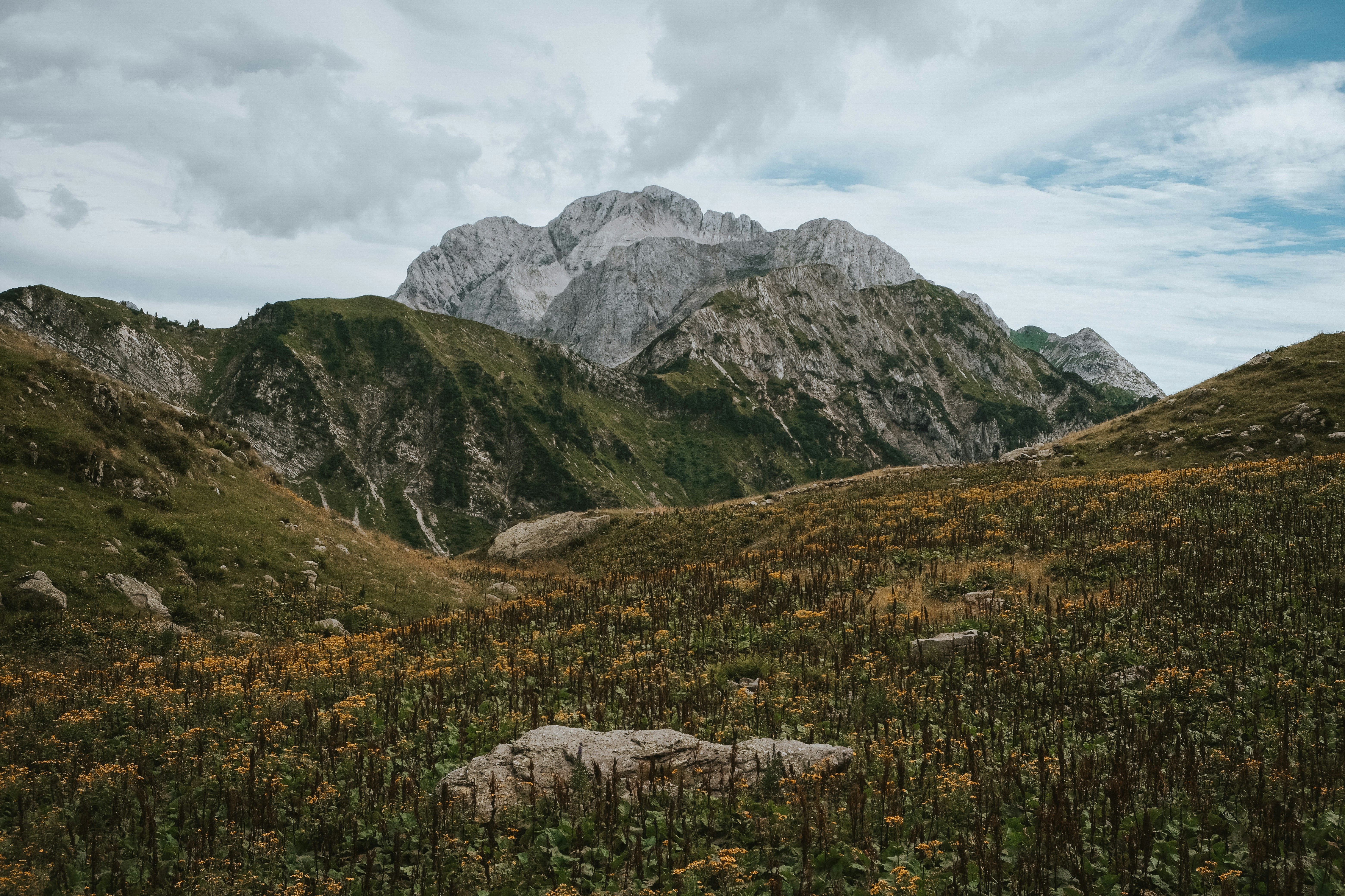 Pizzo Arera, Parco delle Orobie Bergamasche, Italy | Majestic mountain range towers over lush green hills.