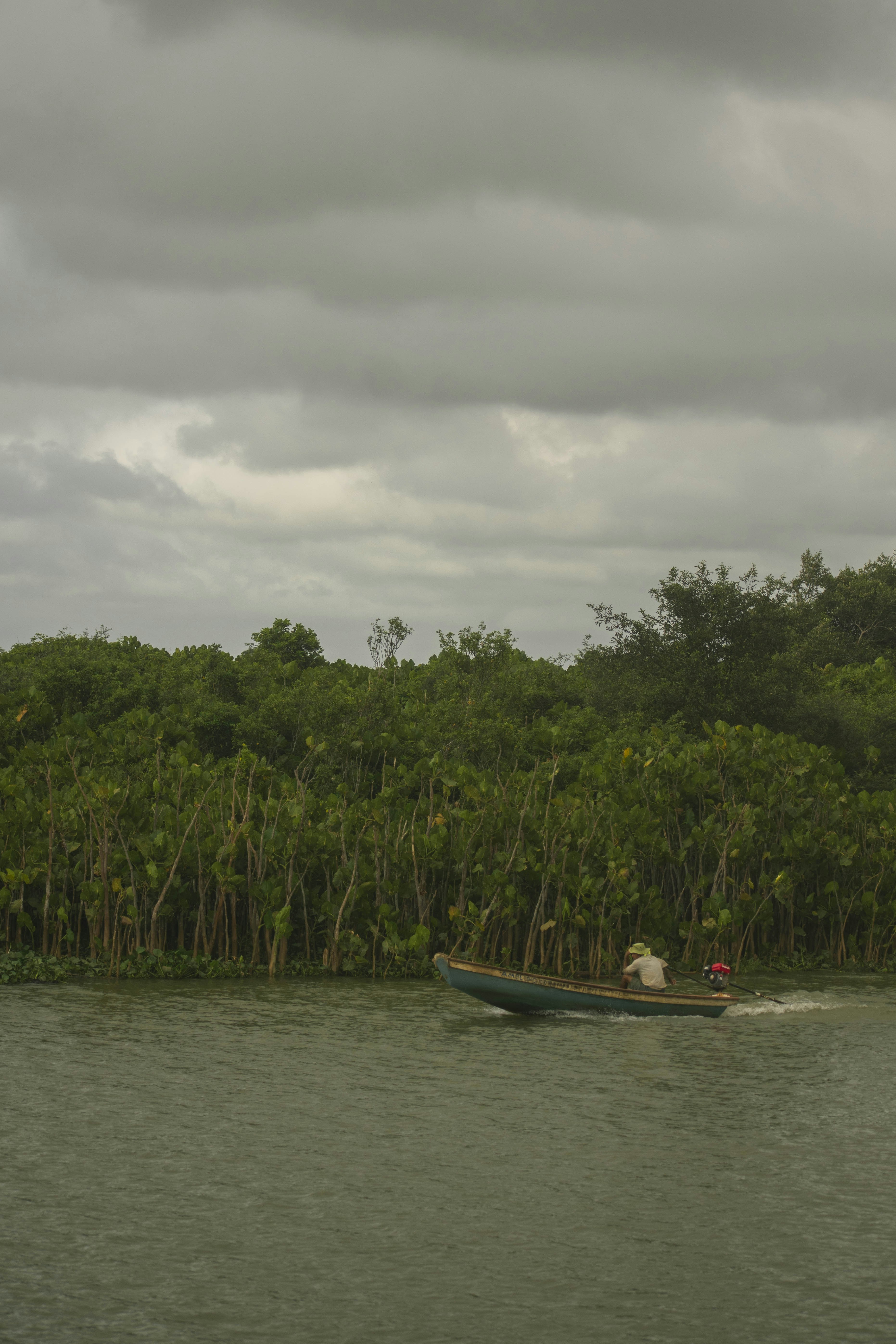 A boat travels through a green, lush river.