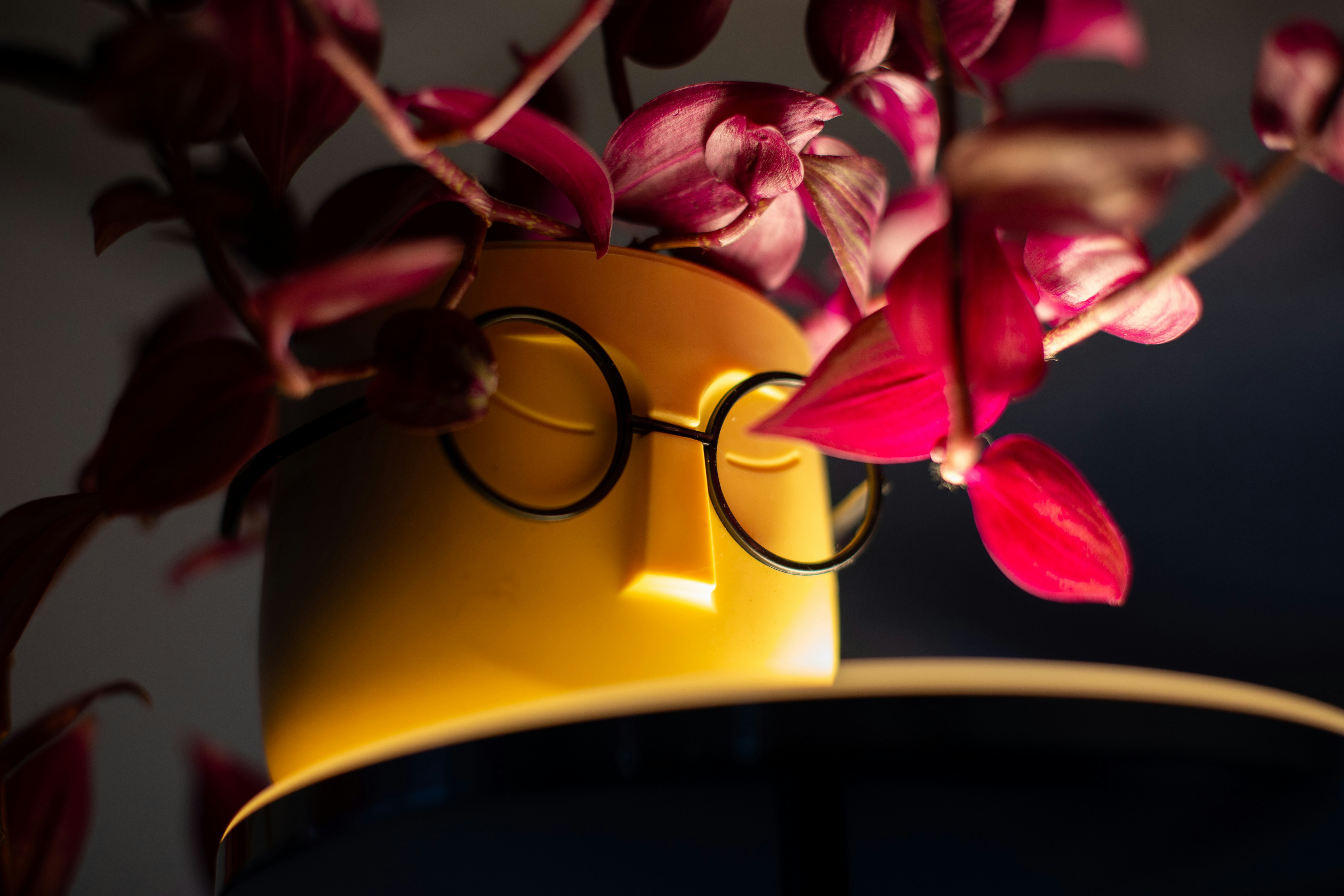 Whimsical Botanicals: A Playful Encounter