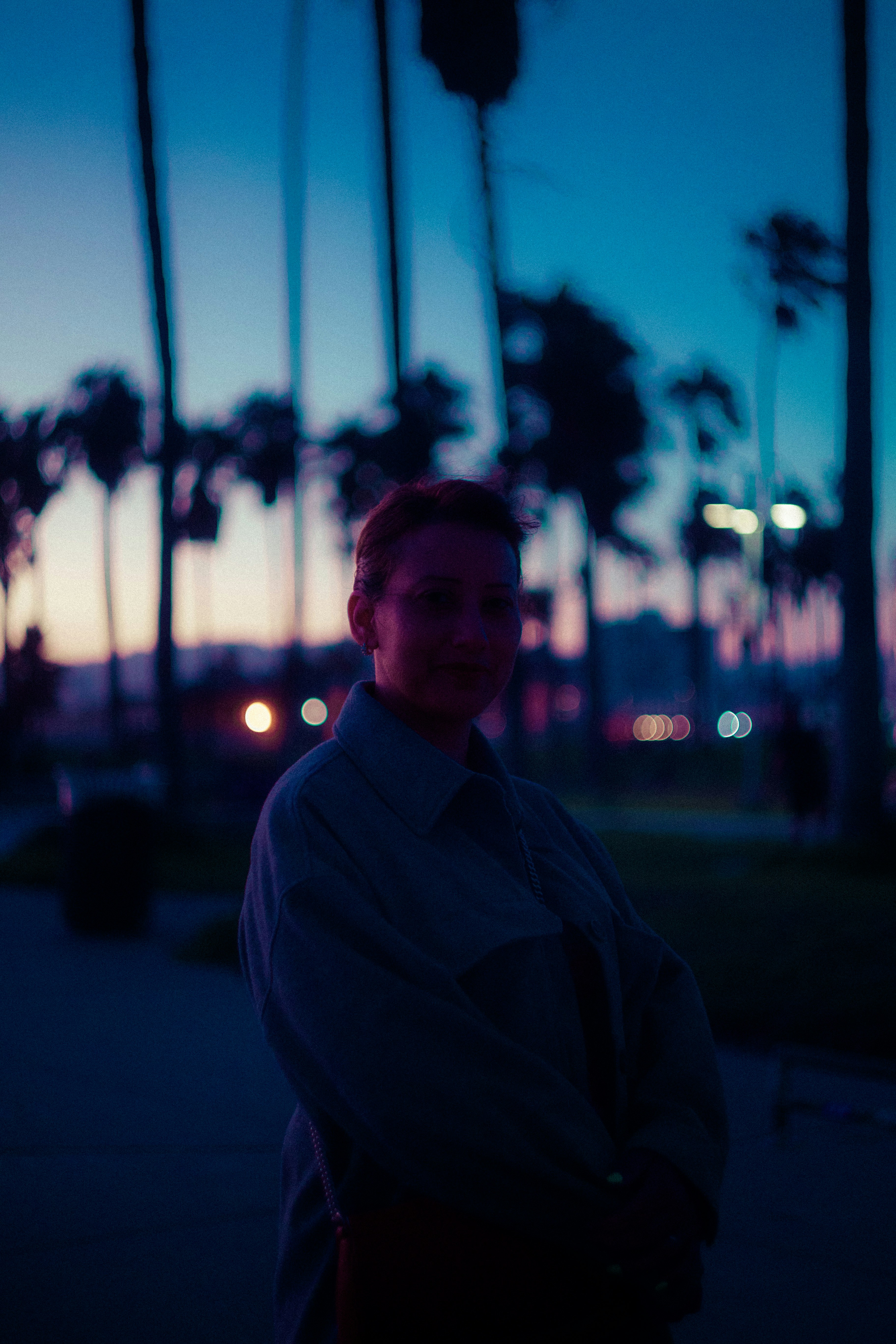 Twilight Serenity: A Moment in Shadows