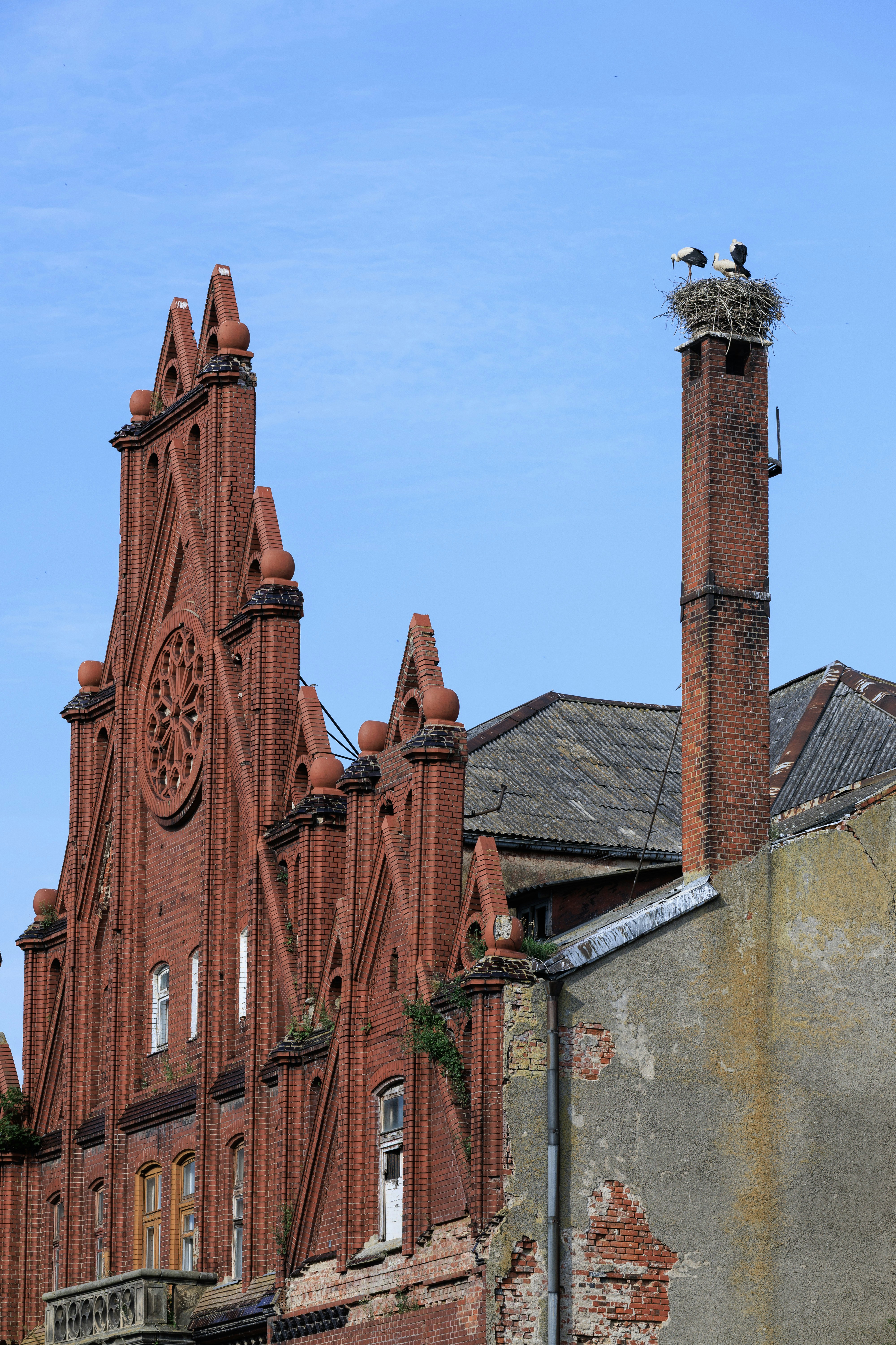 Heritage Meets Nature: A Stork's Perch