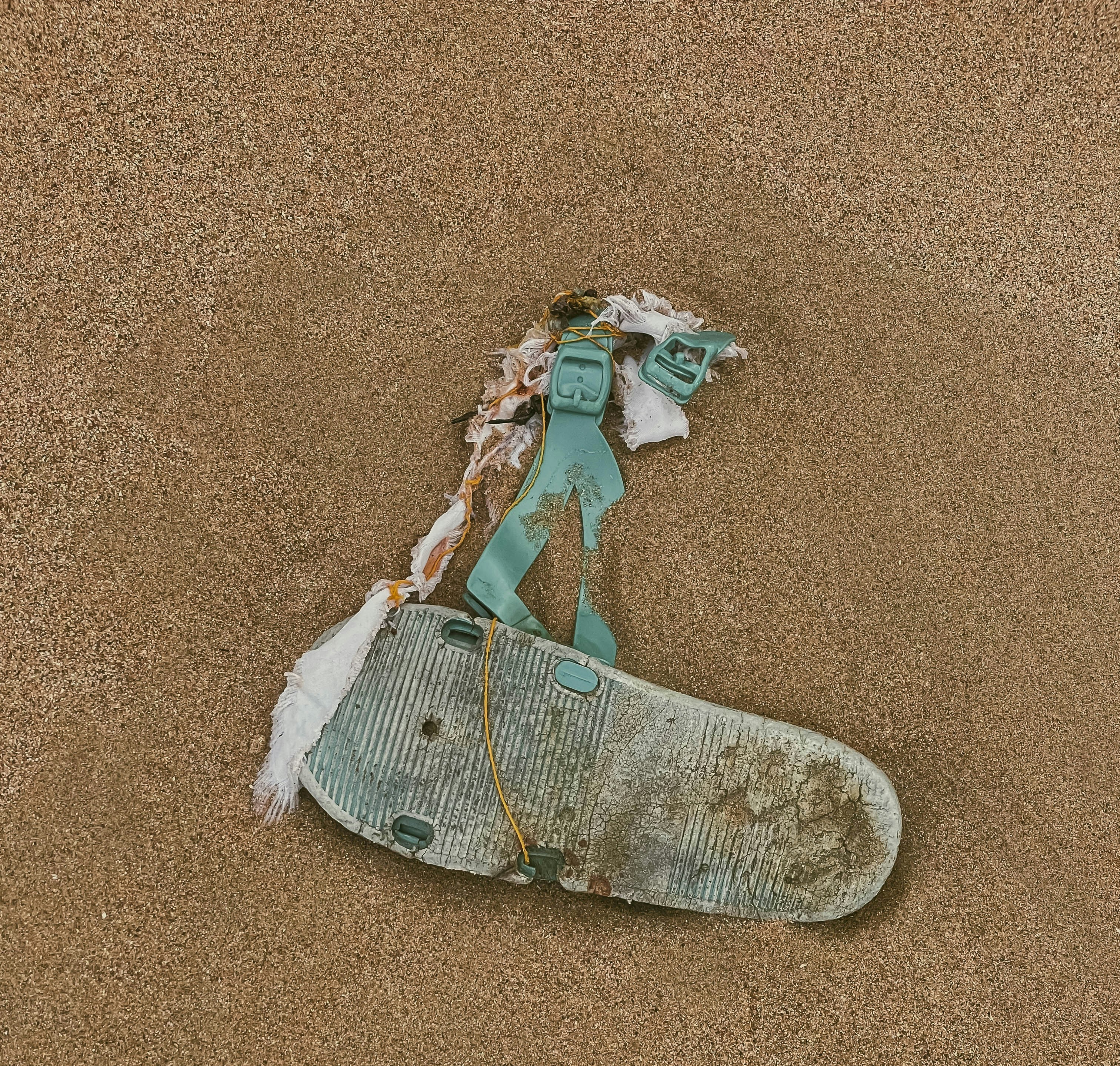 A discarded sandal lies on the sandy beach.