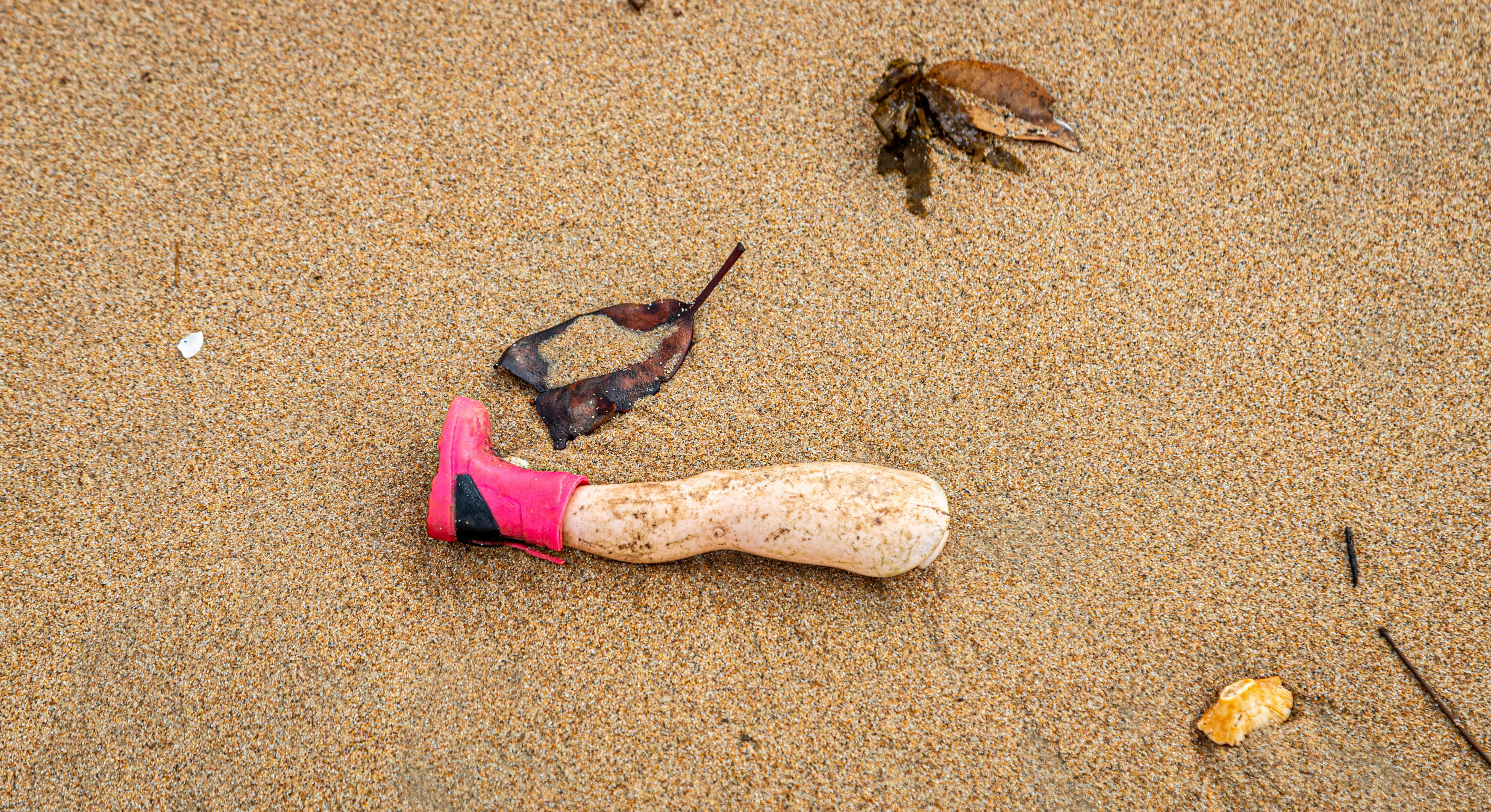 A doll's leg washed ashore on the sand.