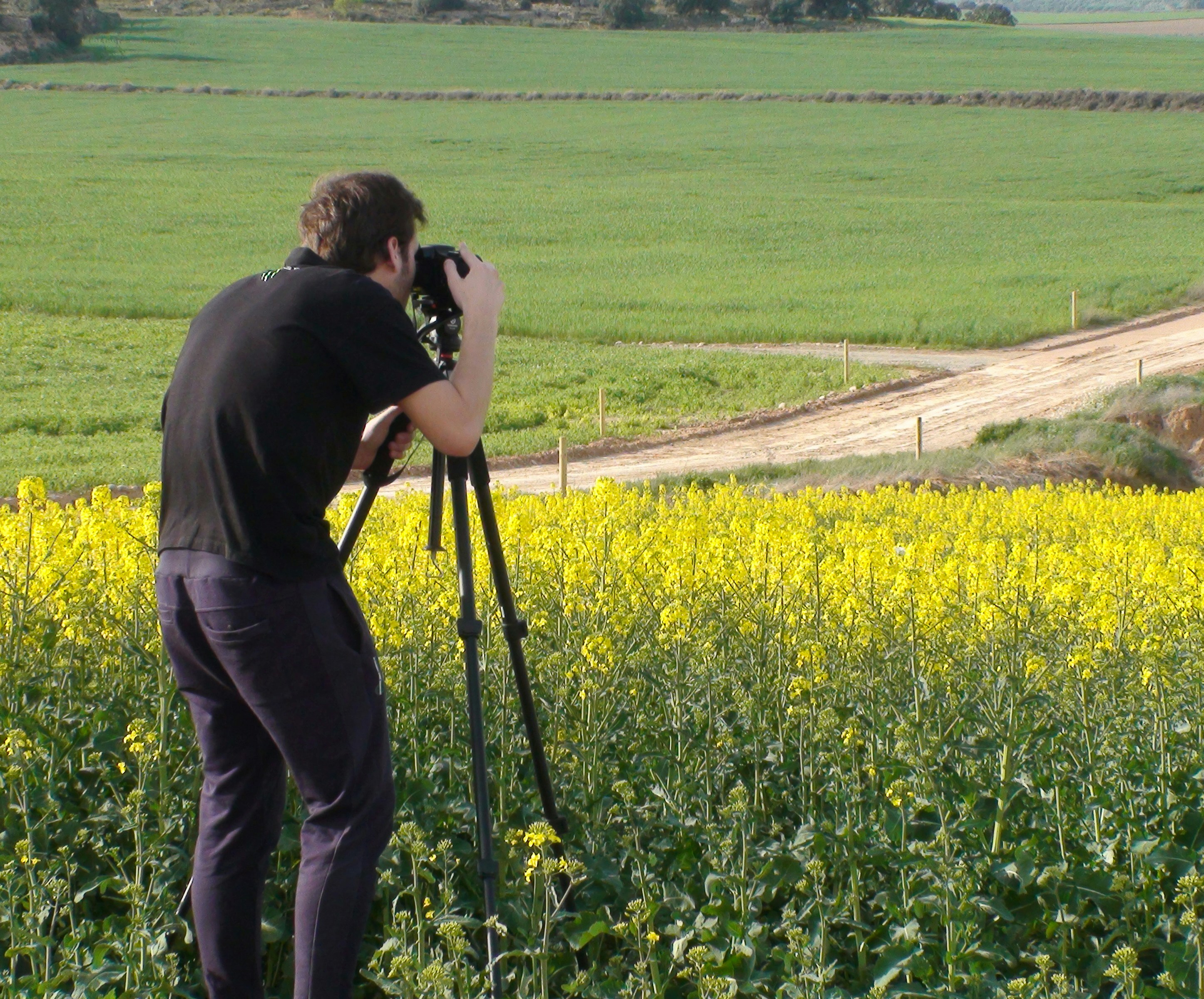 Capturing Nature's Palette: A Photographer's Pursuit
