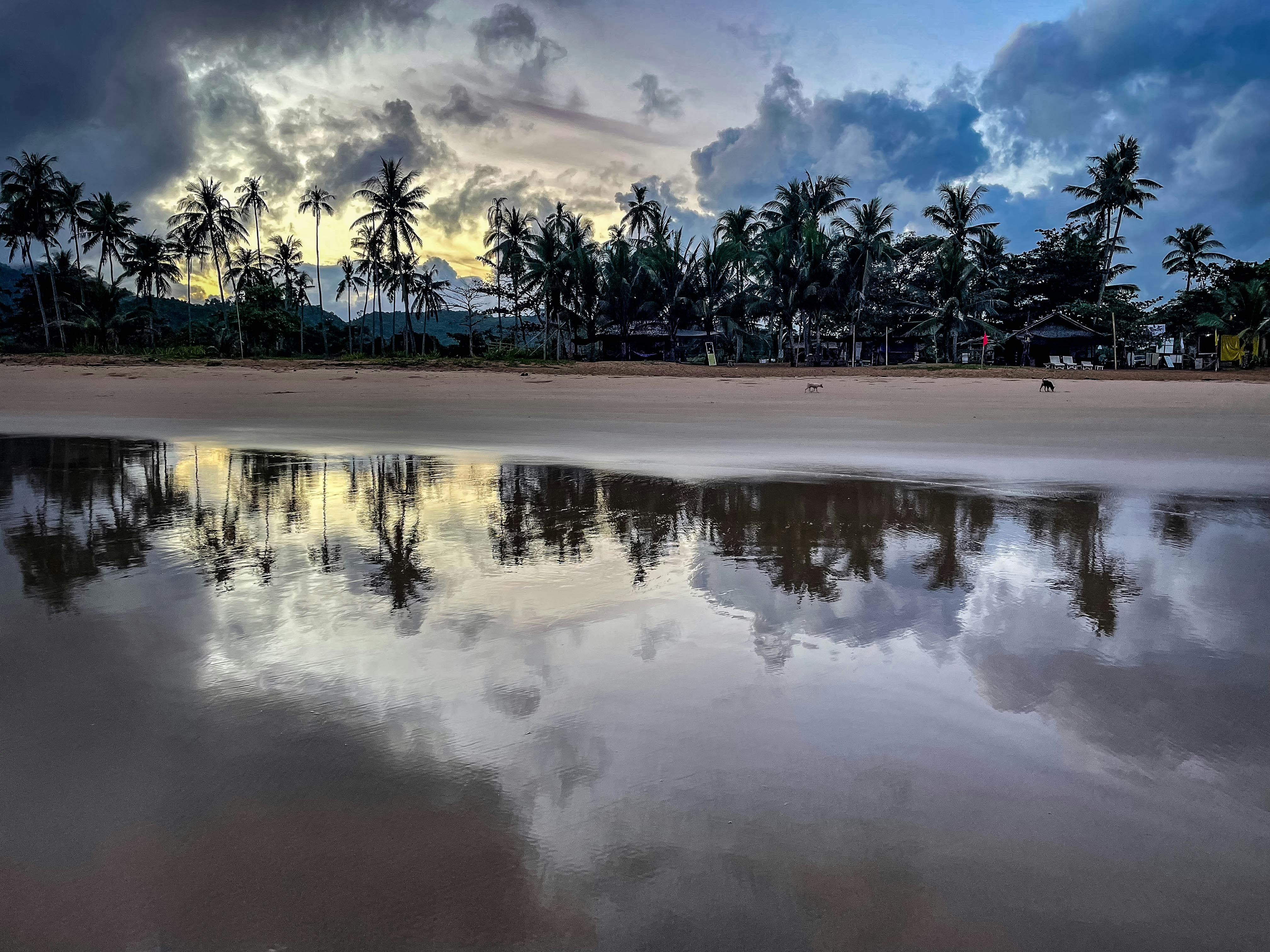Reflections of Serenity: A Tropical Evening