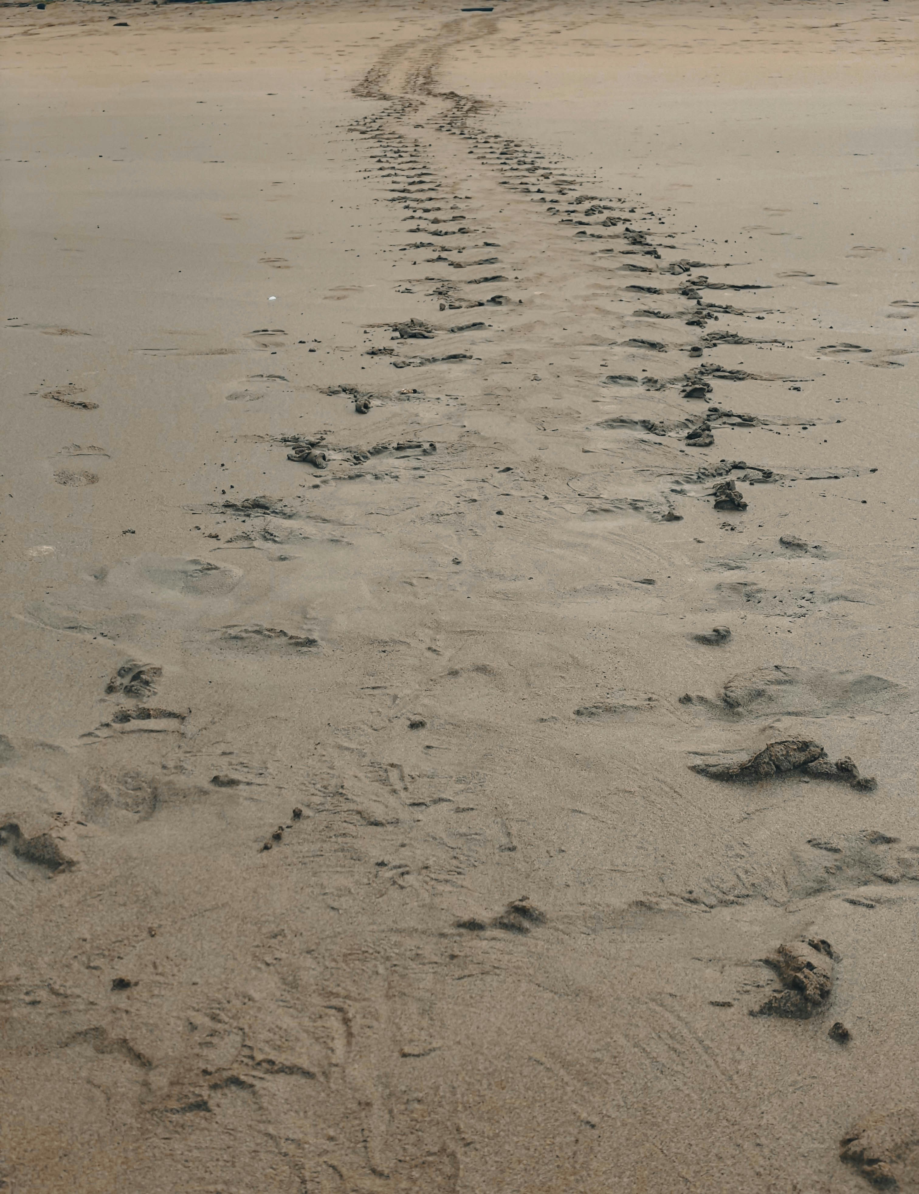 Footprints of a Journey: Traces in the Sand