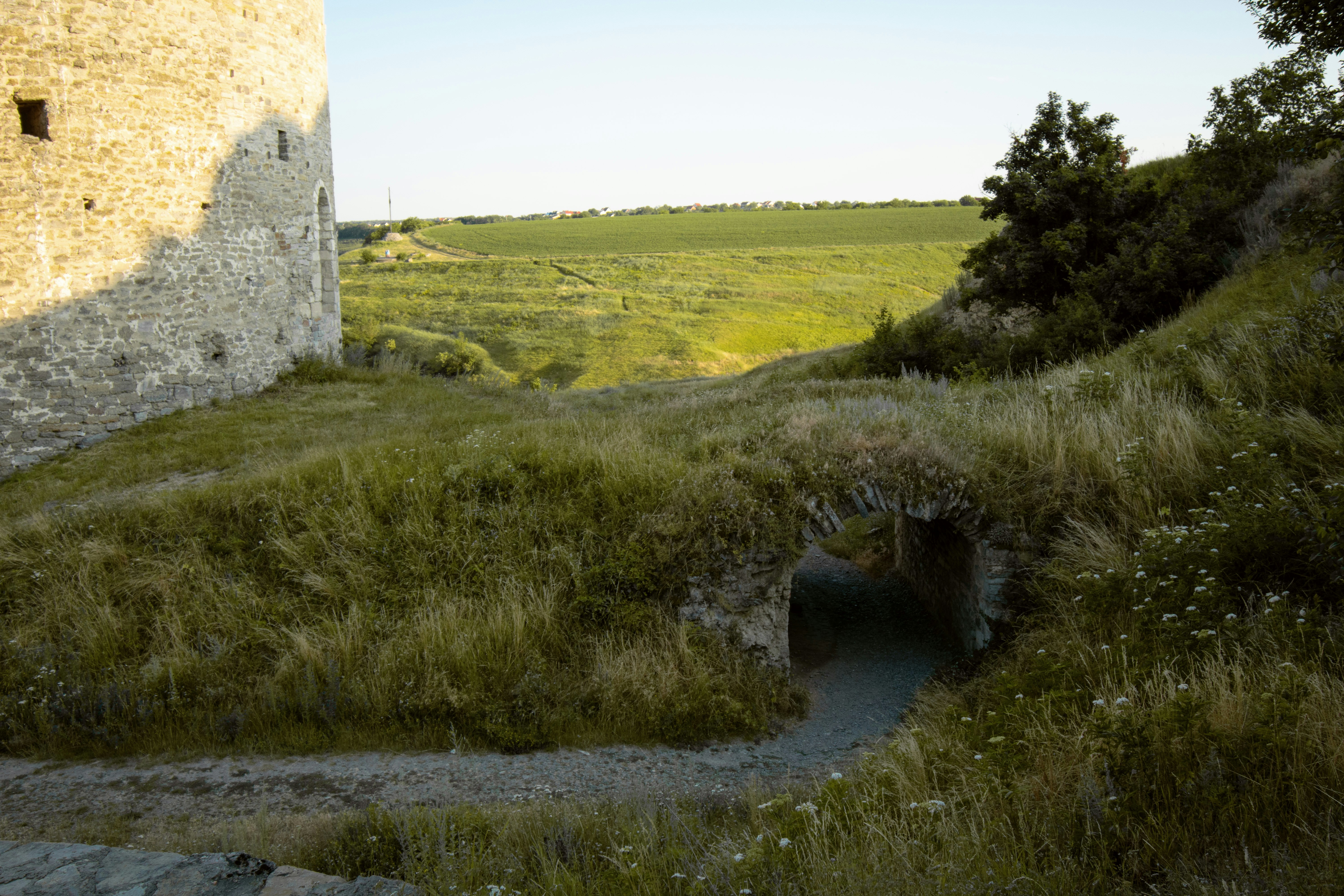 A tunnel leads to a lush green field.