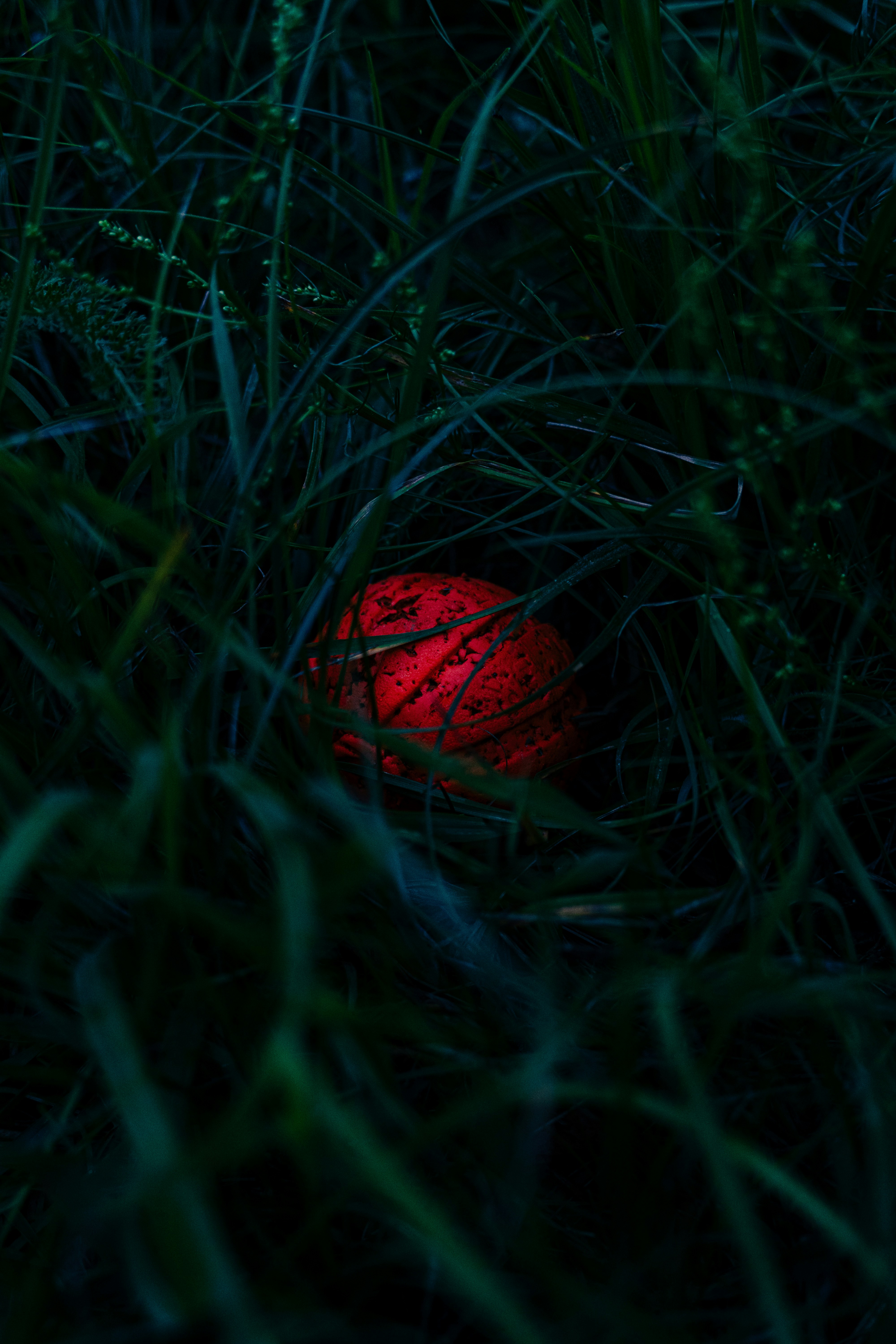 The Hidden Ember in the Green