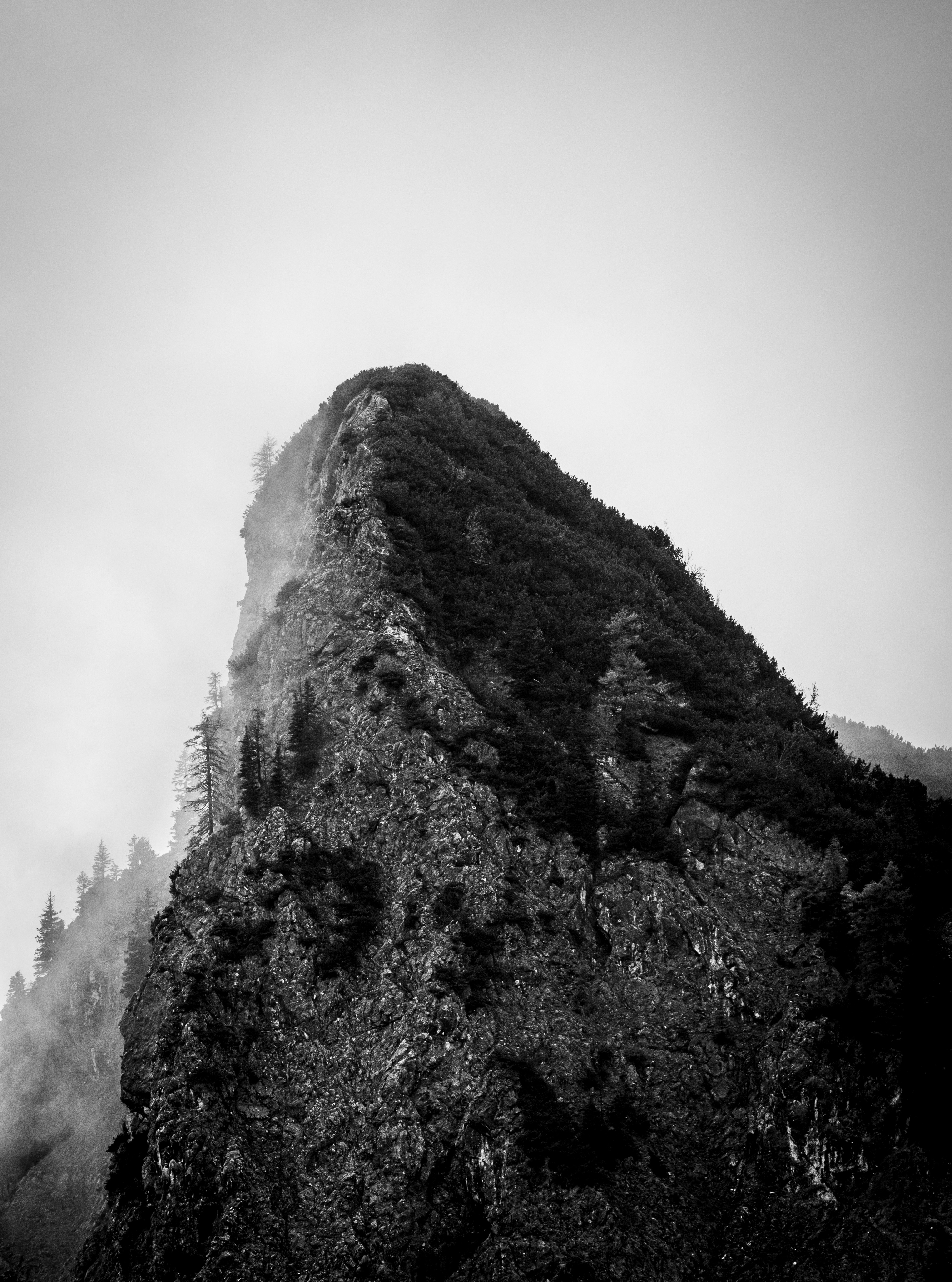 A towering mountain peak shrouded in mist, surrounded by dense forest. The monochrome tones enhance the rugged texture of the rock face.