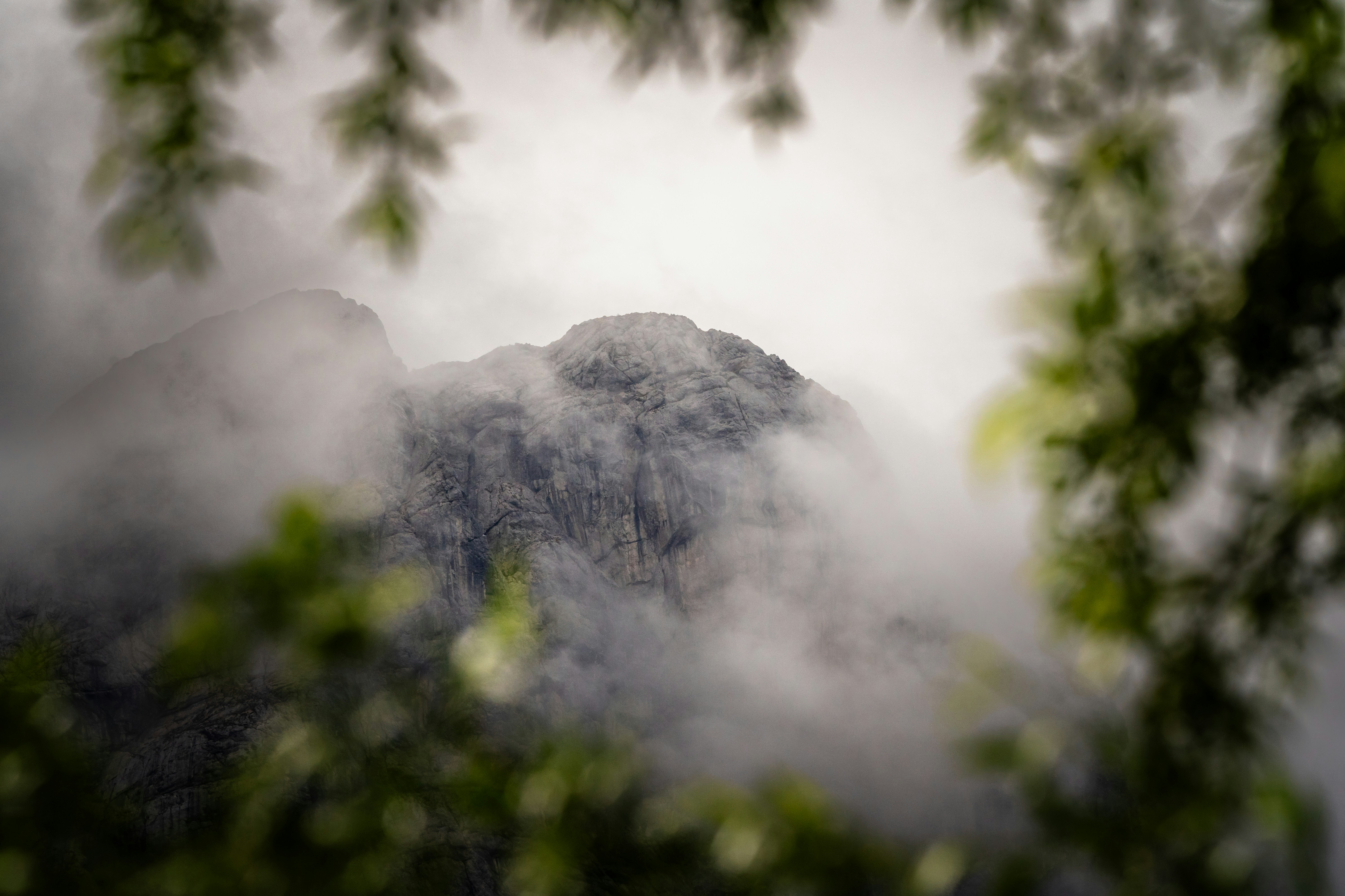 A majestic mountain peak partially obscured by ethereal clouds, framed by lush greenery. The scene evokes a sense of mystery and tranquility.