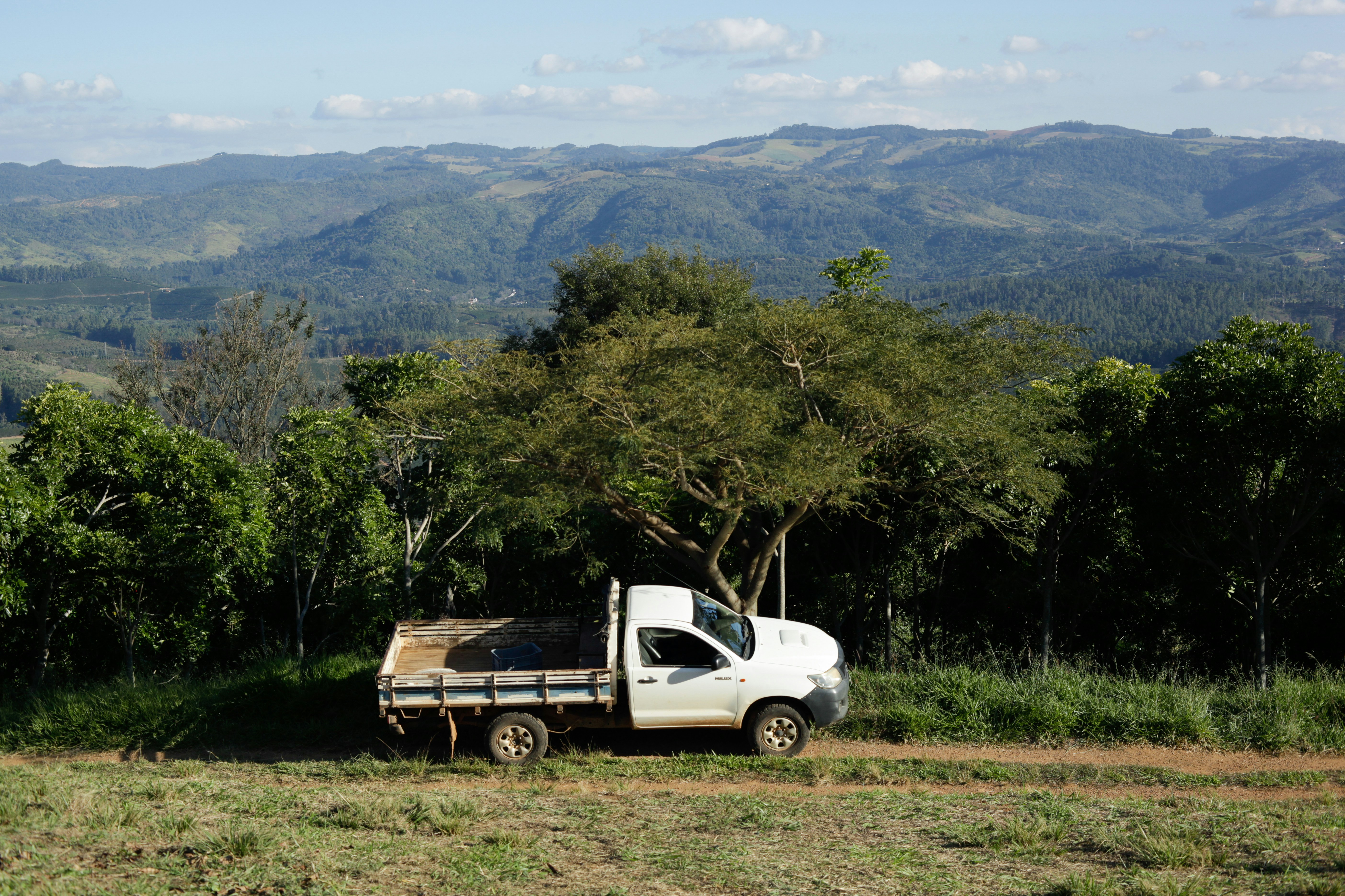 cafegatomourisco.com | A white truck drives on a grassy hillside.