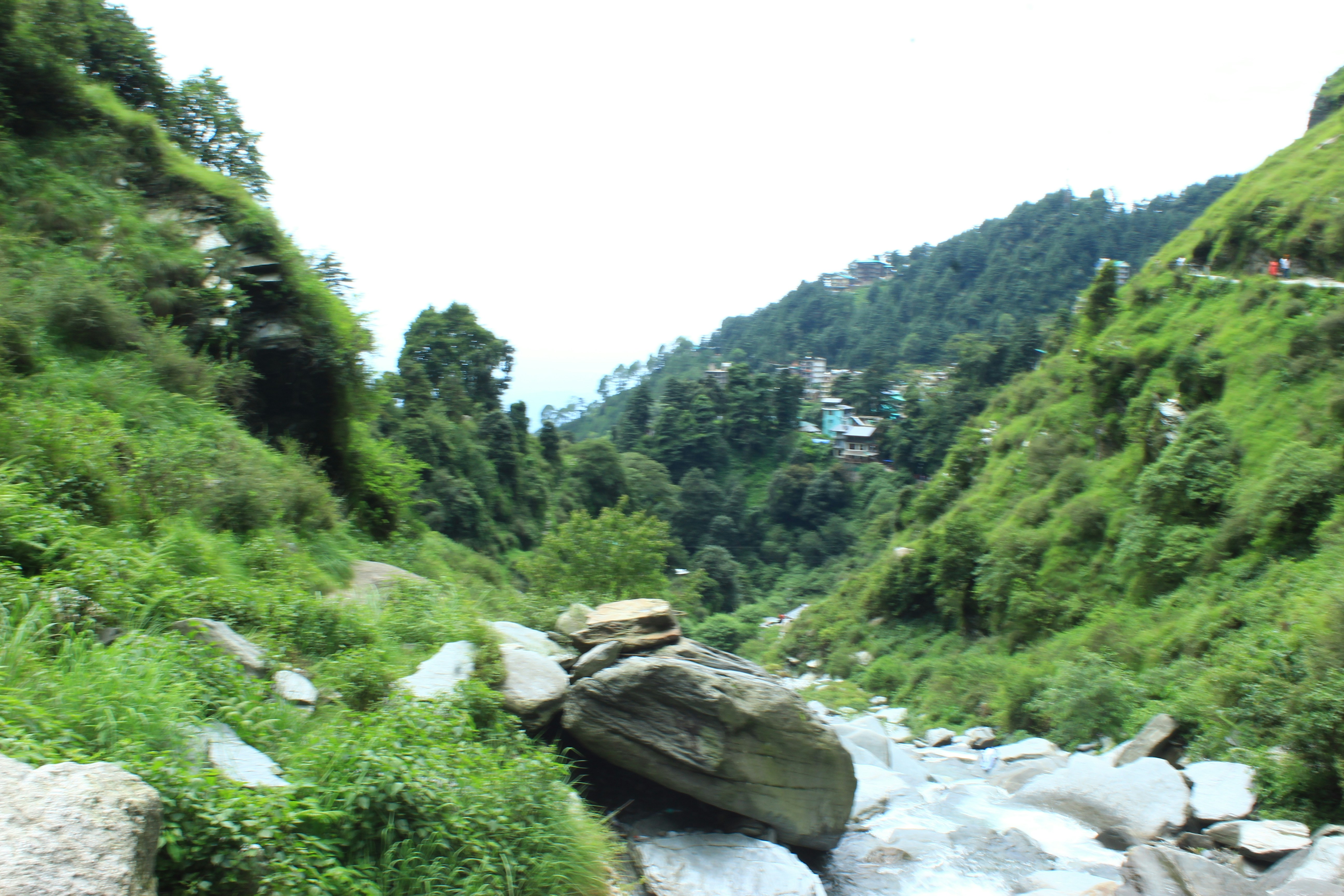 Whispers of the Valley: A Serene Journey Through Nature
