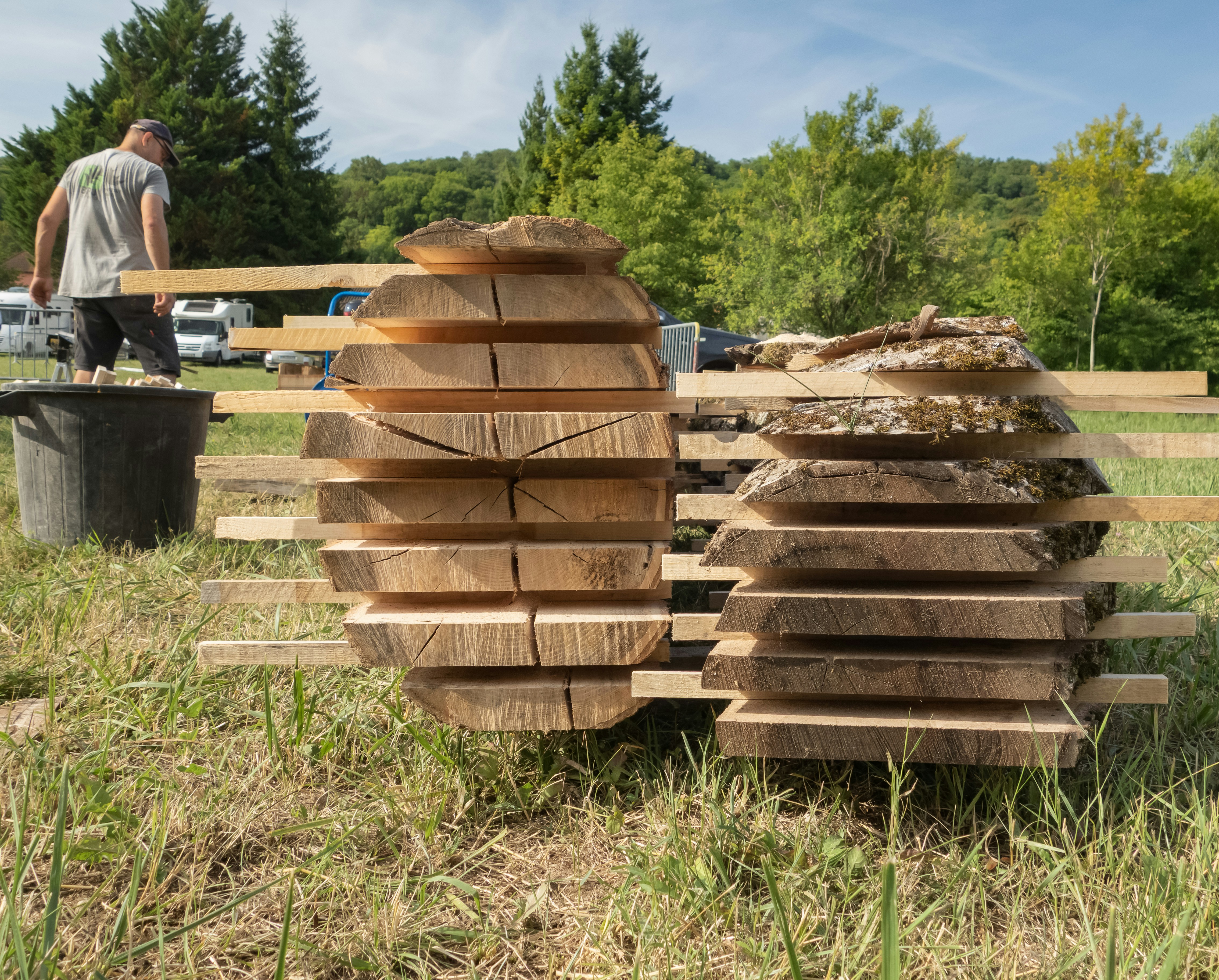 Crosscut Circles: Stacked Log Slices Framing a Quiet Field