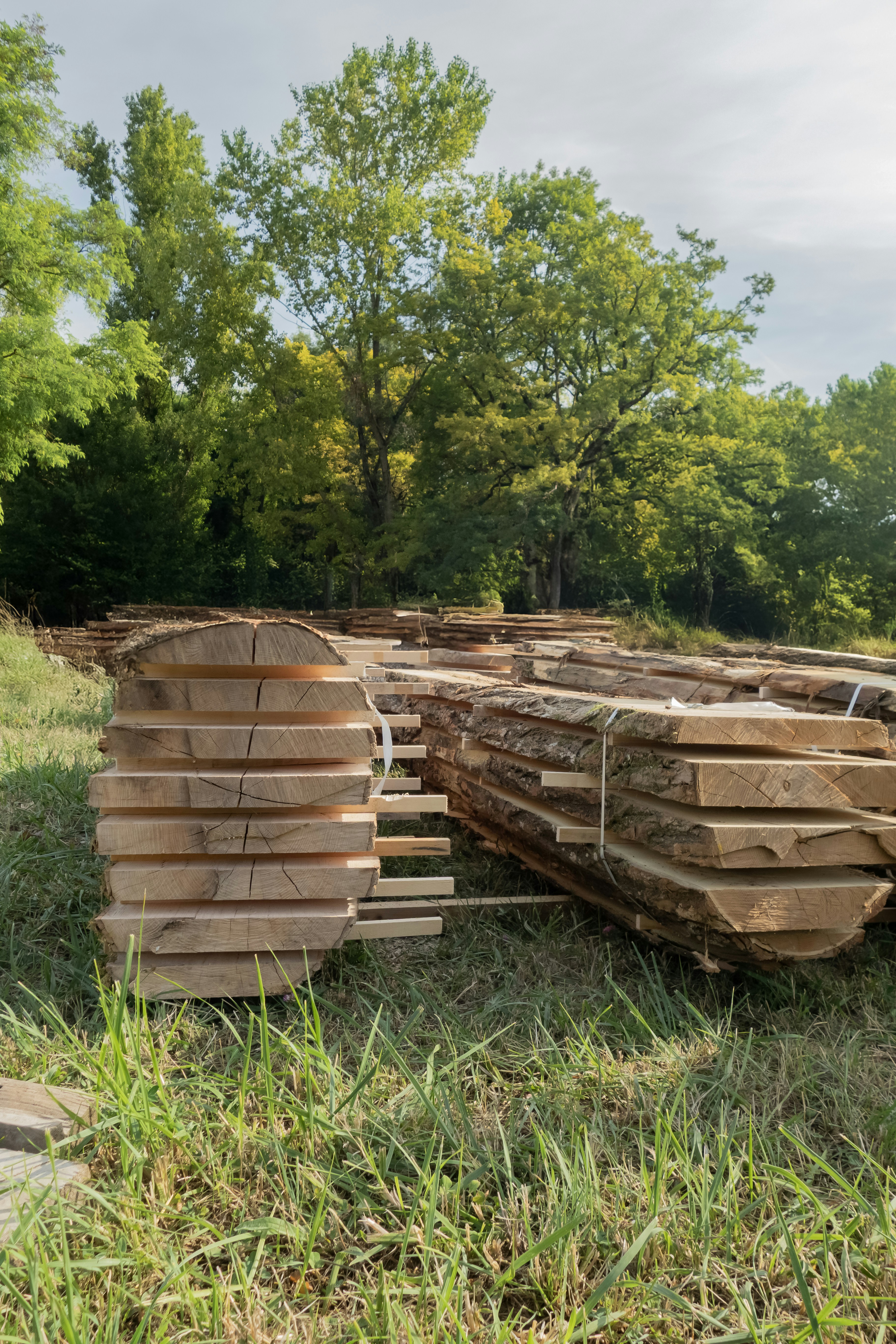 Le marché traditionnel du village de Bettant dans le Bugey en France. 🧺 Saveurs et savoir-faire au cœur du Bugey sous le ciel doux de cette fin de Juillet à Bettant, le marché s’éveille en couleurs et en parfums. Les paniers tressés racontent l’histoire des mains patientes, les étals débordent de produits du terroir, et les voix s’entrelacent dans une symphonie rurale. Ici, chaque sourire est une promesse de partage, chaque objet une trace vivante de l’artisanat français. Chaque étale est une chasse aux trésors pour tous. | Stacks of lumber sit in a grassy field.