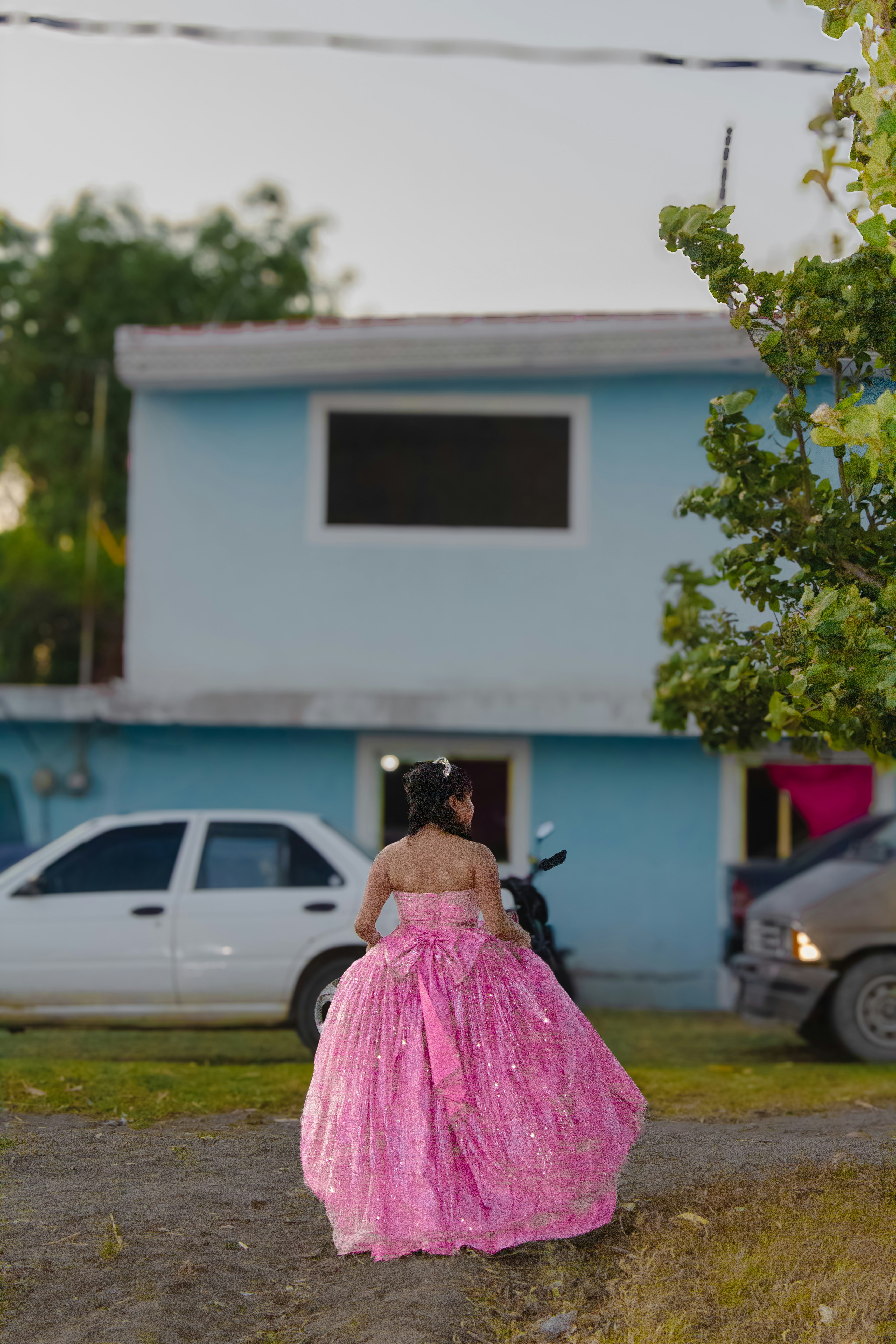 Pink ballgown by the blue house