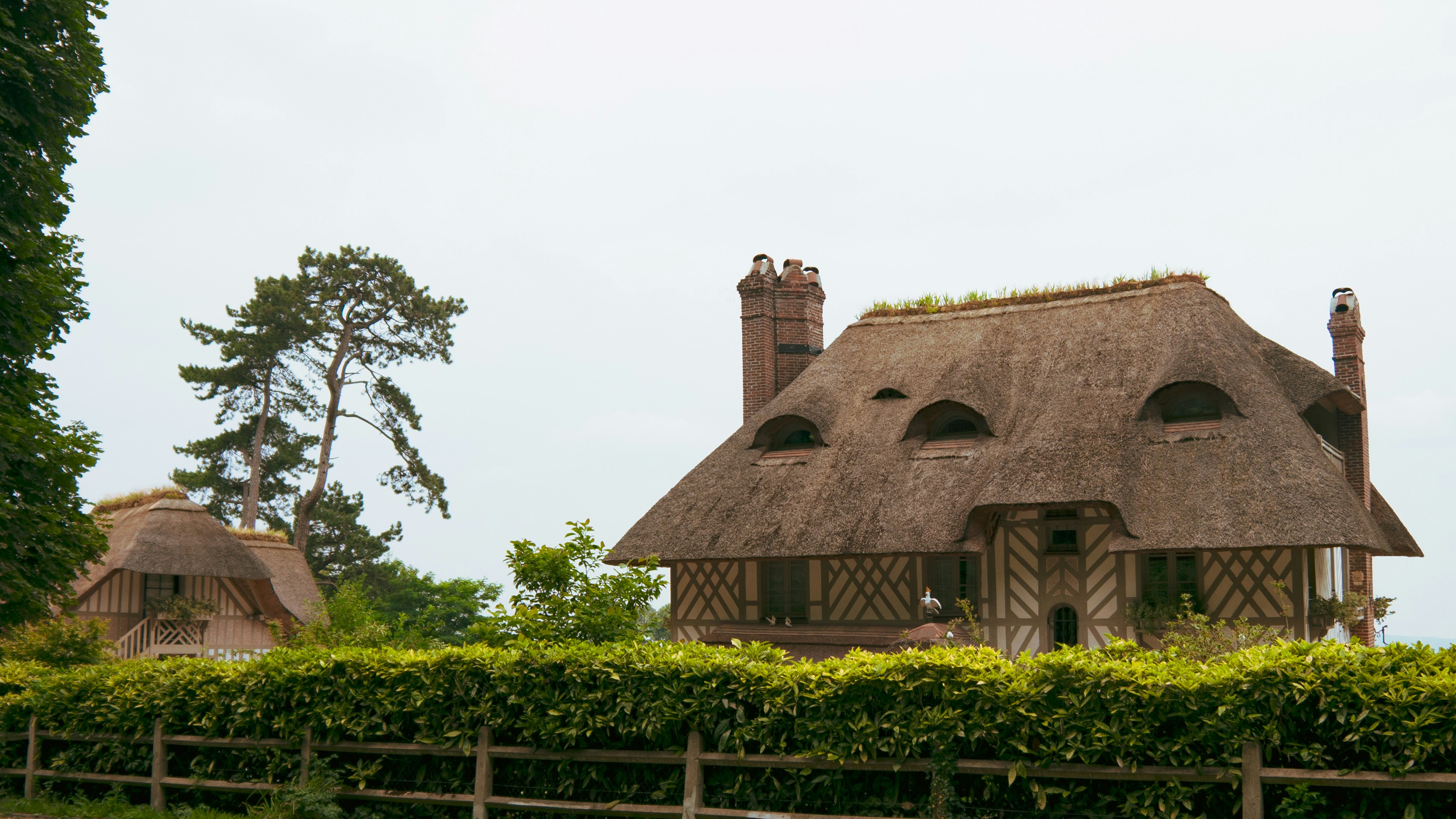 Two picturesque thatched-roof cottages nestled among lush greenery, showcasing traditional architectural details. The scene evokes a sense of serene countryside living.