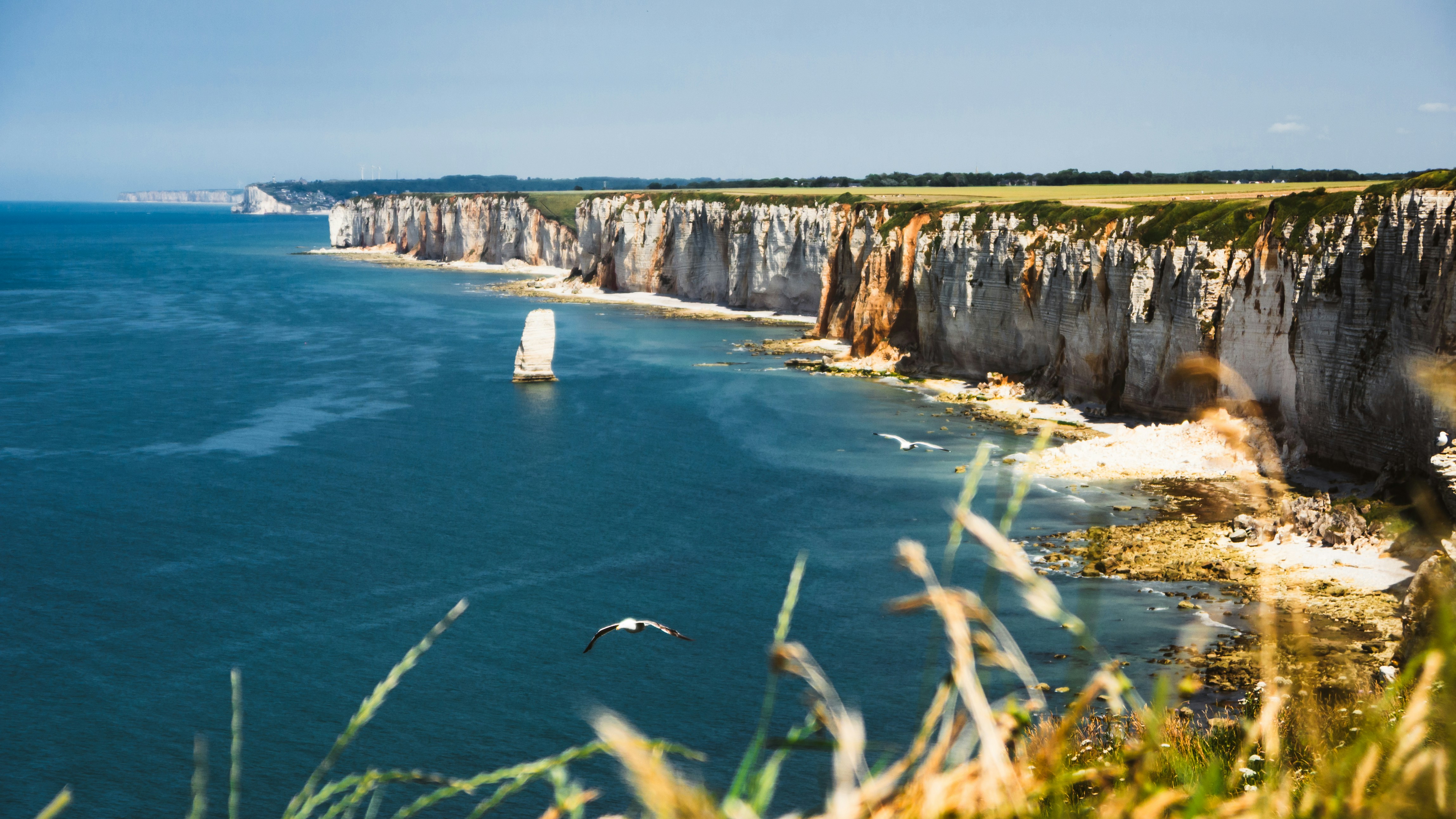 Sea Stack Sentinel: Cliffside Azure Horizon