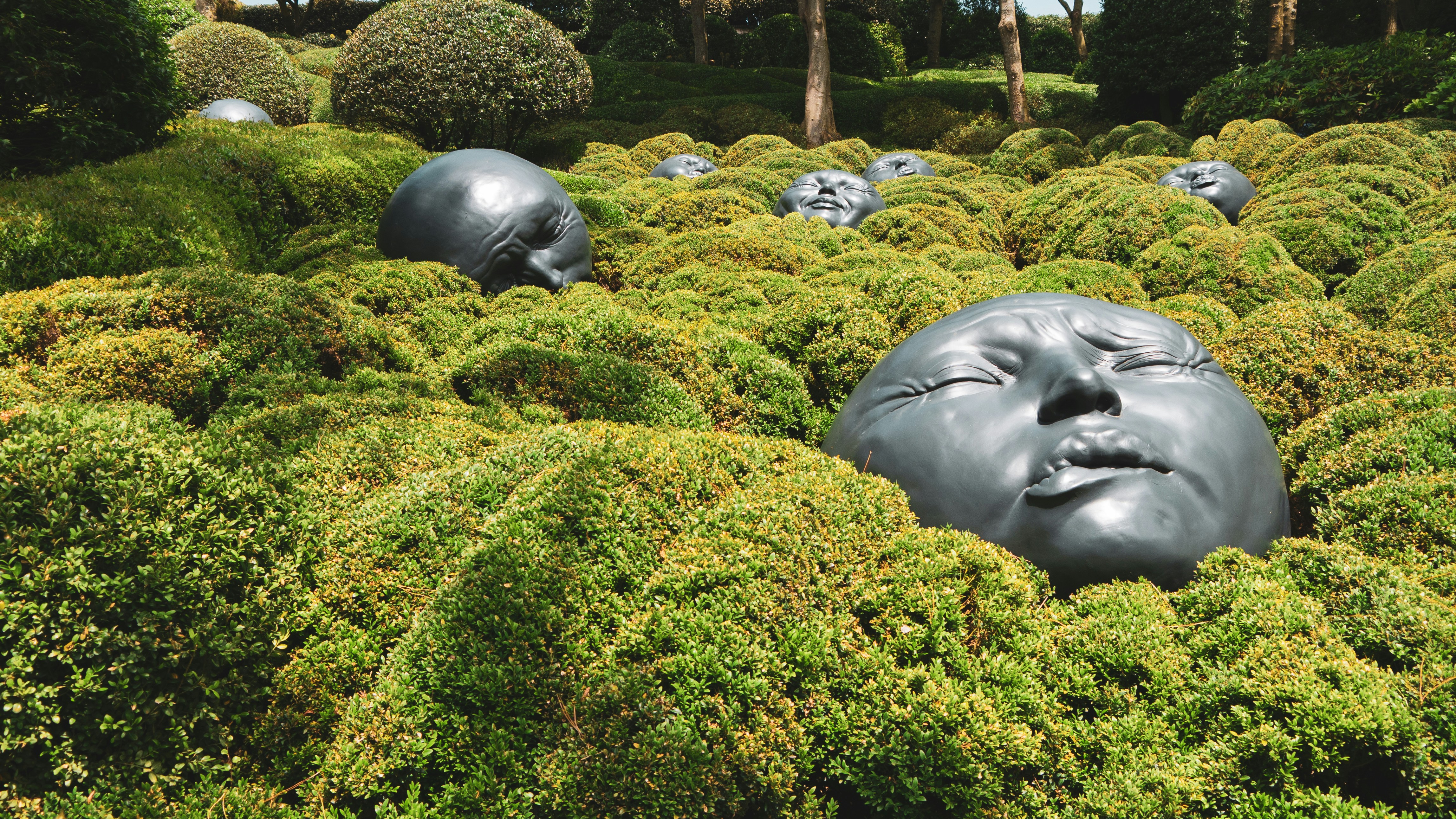 Whispers of the Forgotten: Faces Amidst the Green