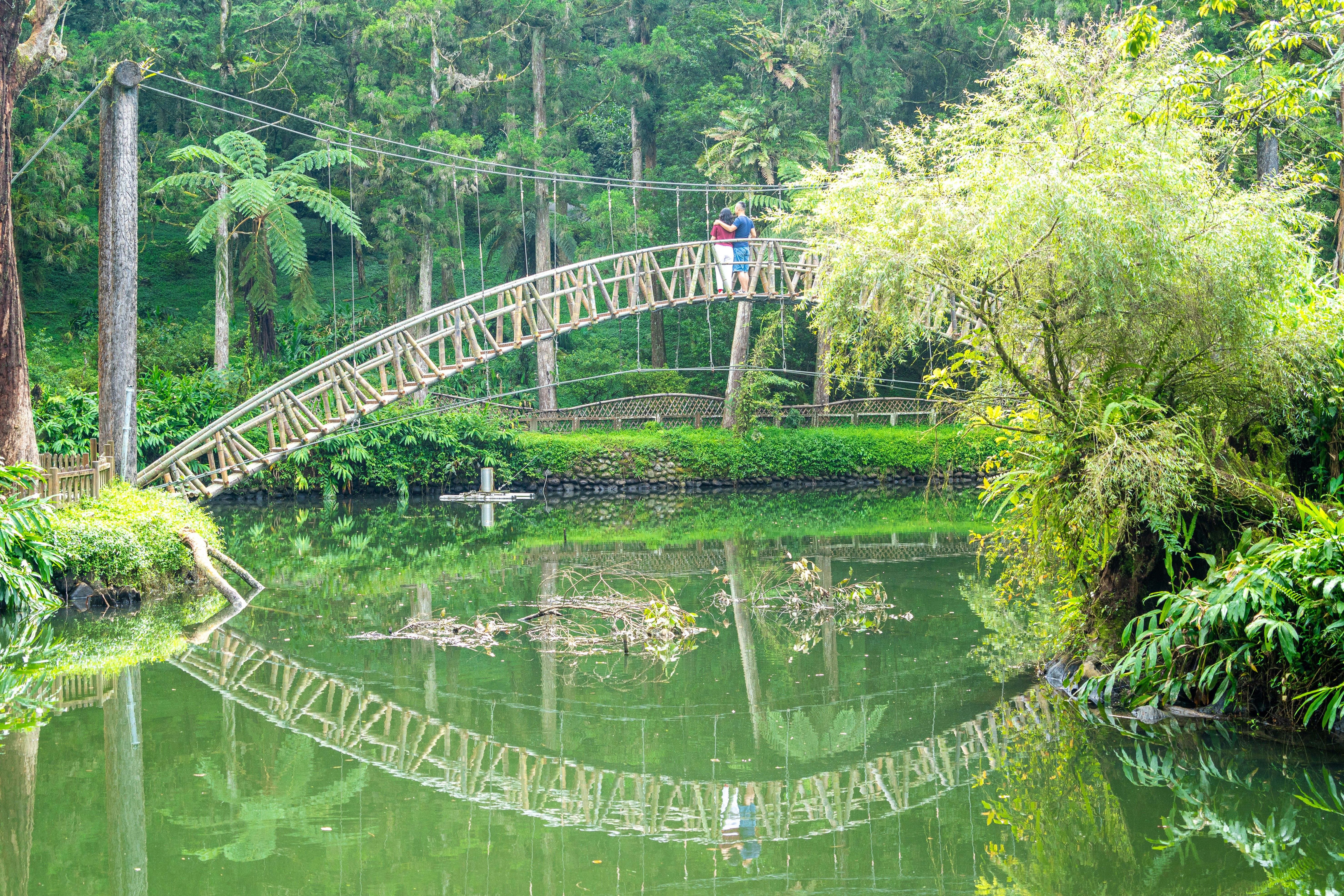 People walk across a bridge over a green lake. photo – Free Forest ...