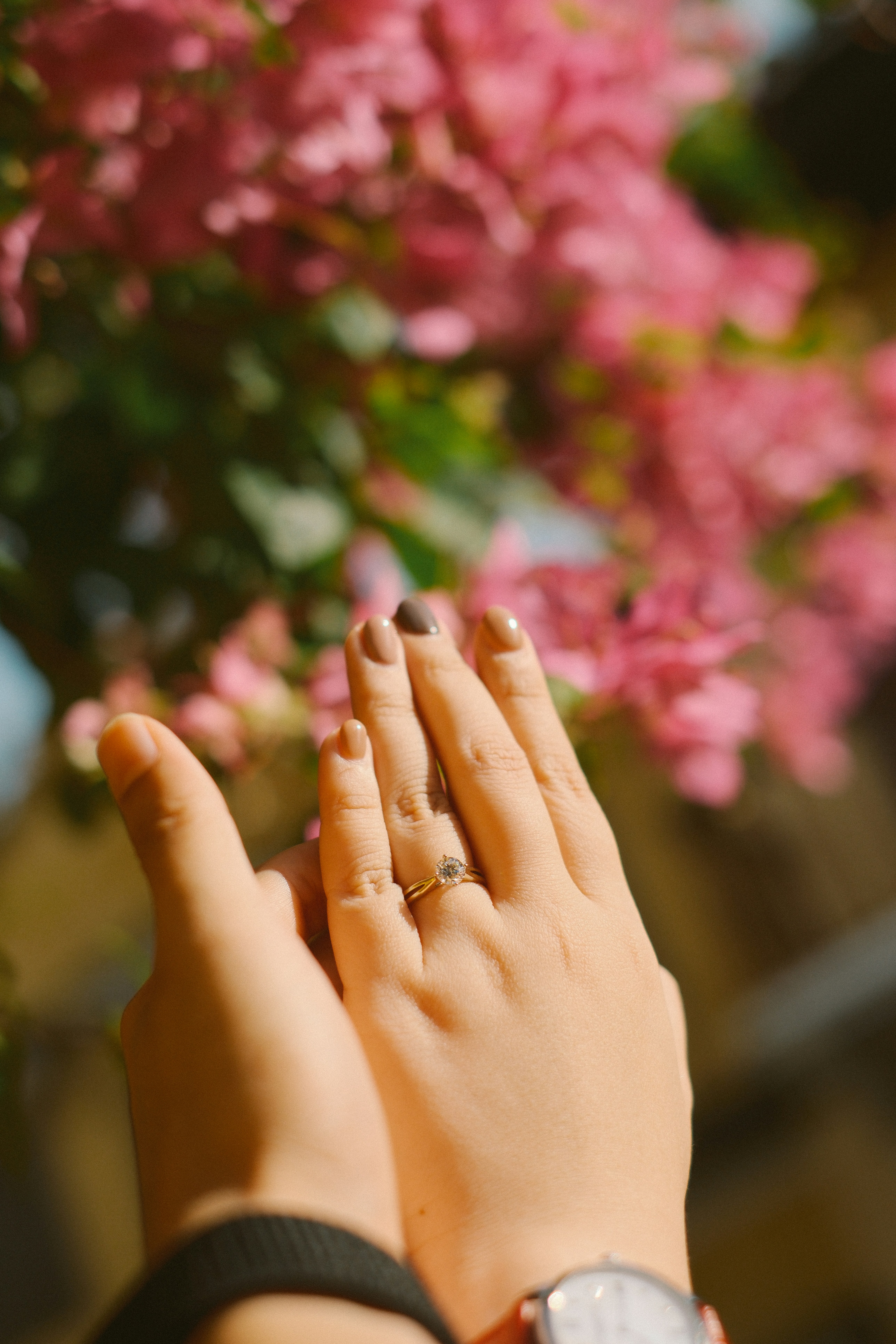 A Touch of Nature's Romance