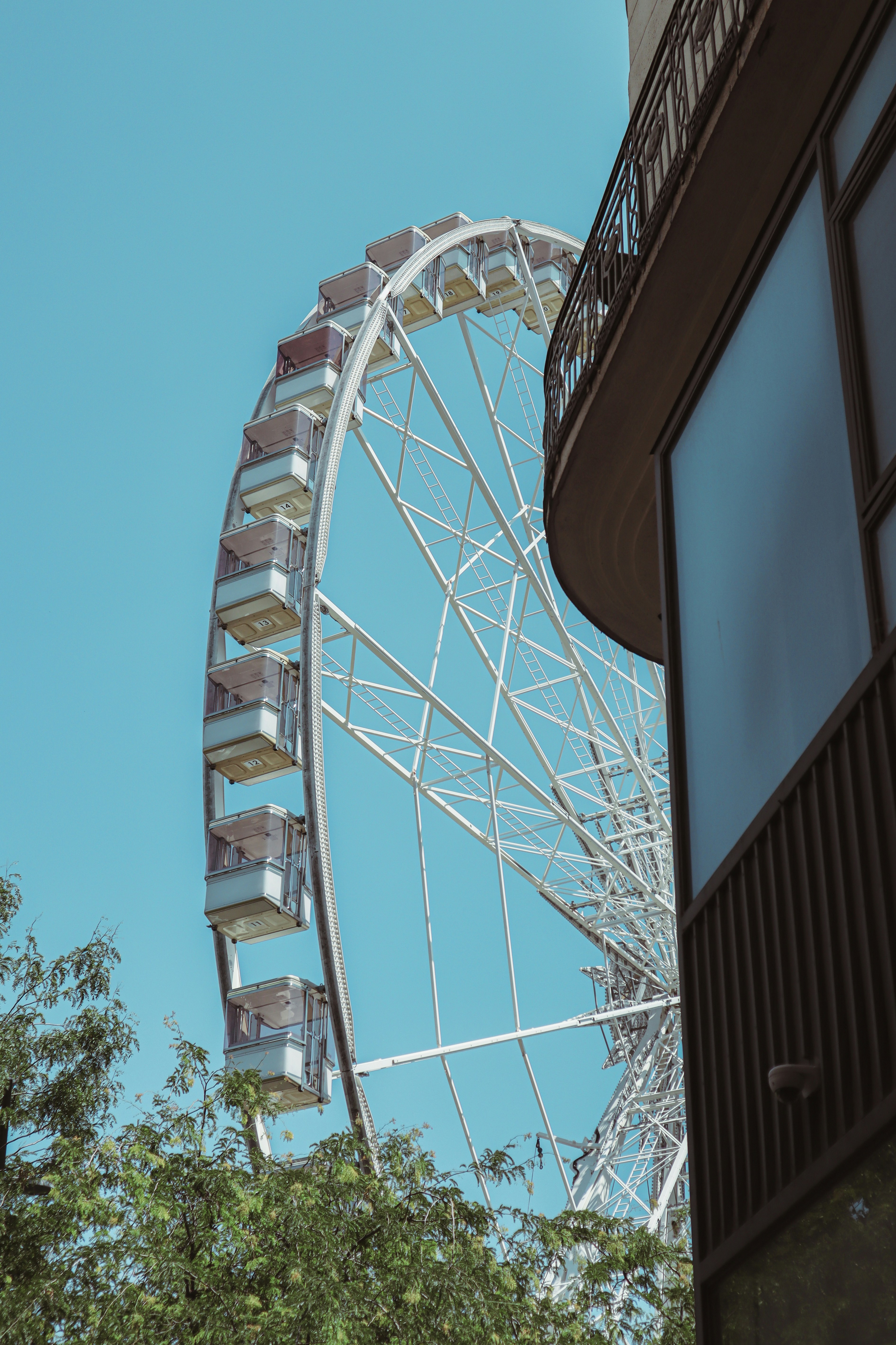 Urban Heights: A Ferris Wheel's Embrace