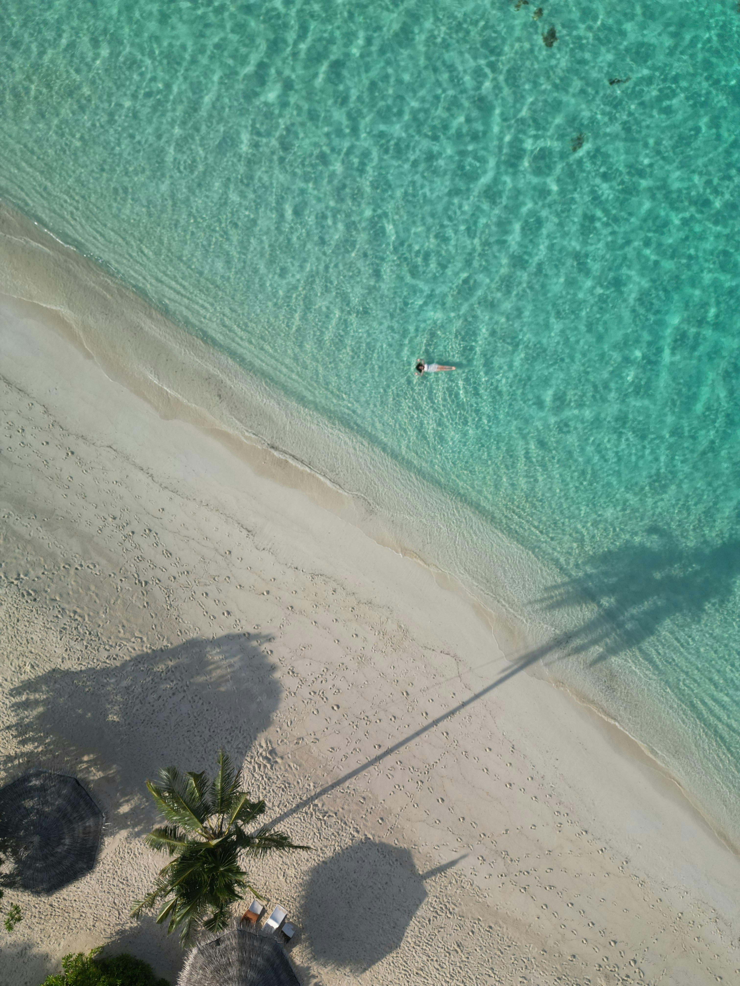 A lone swimmer floats peacefully in crystal-clear waters near a sandy beach, with palm shadows stretching across the shore.