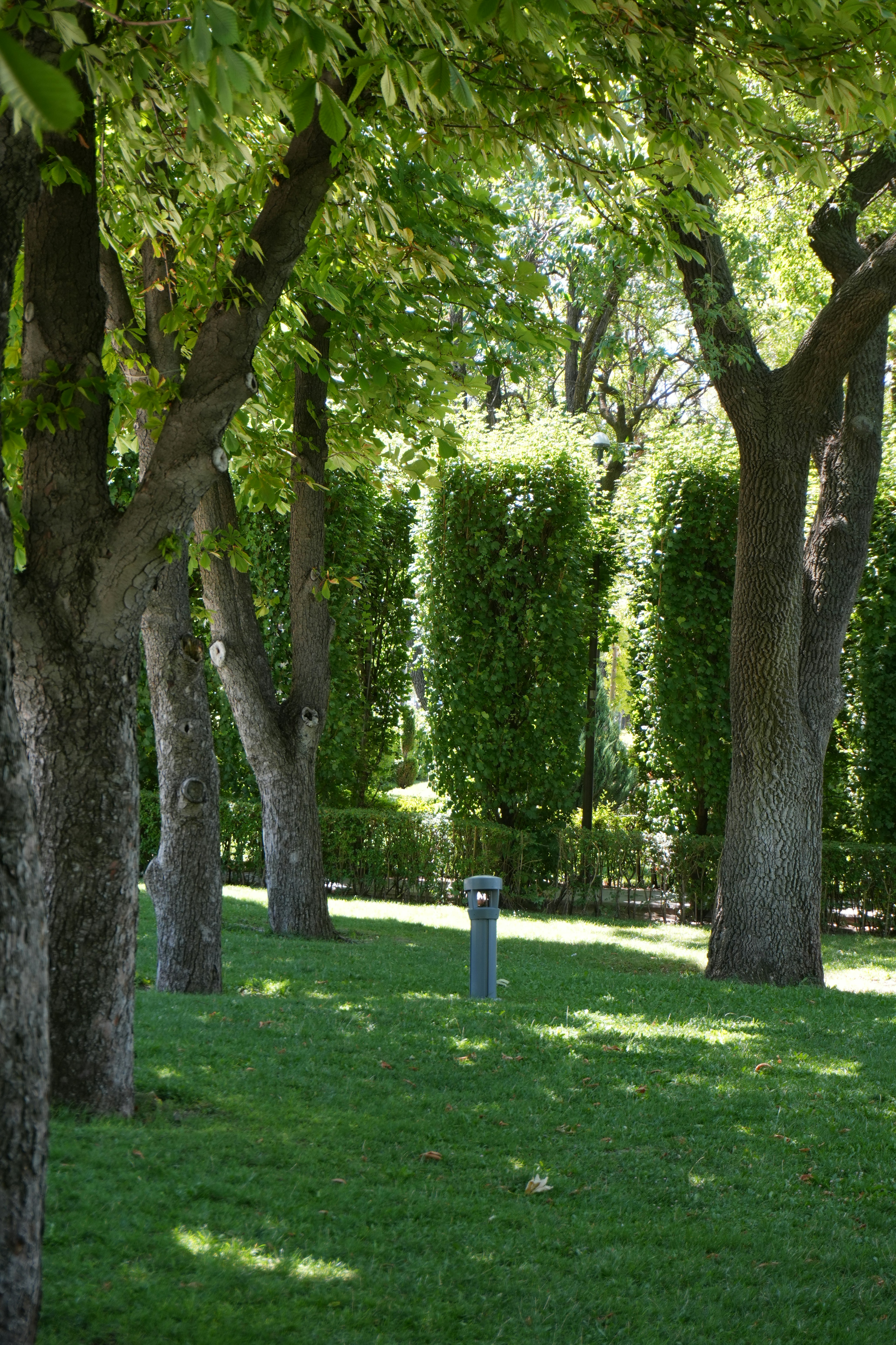 Serene Green Oasis Amidst Urban Life