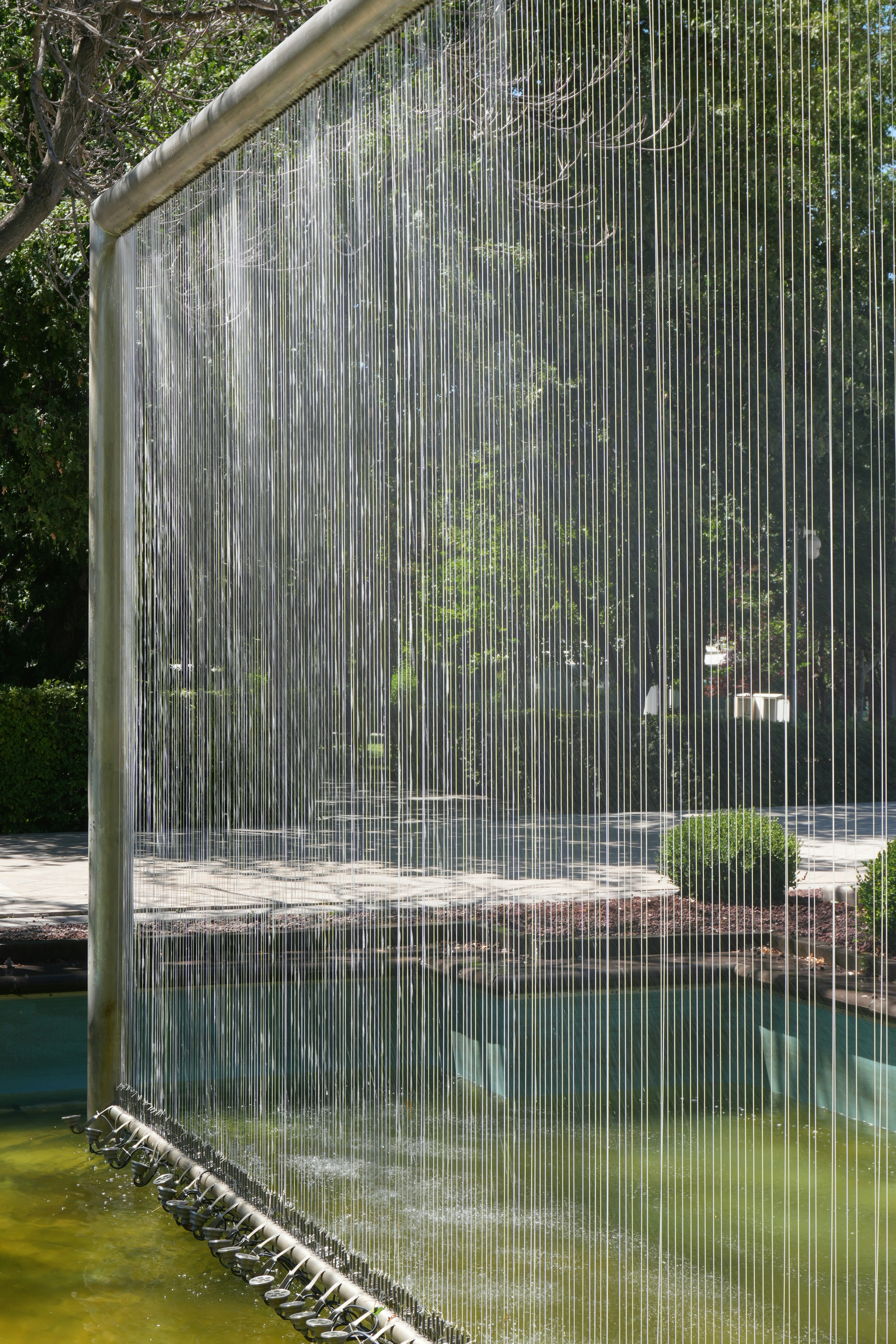 Veil of Water: Nature's Subtle Symphony