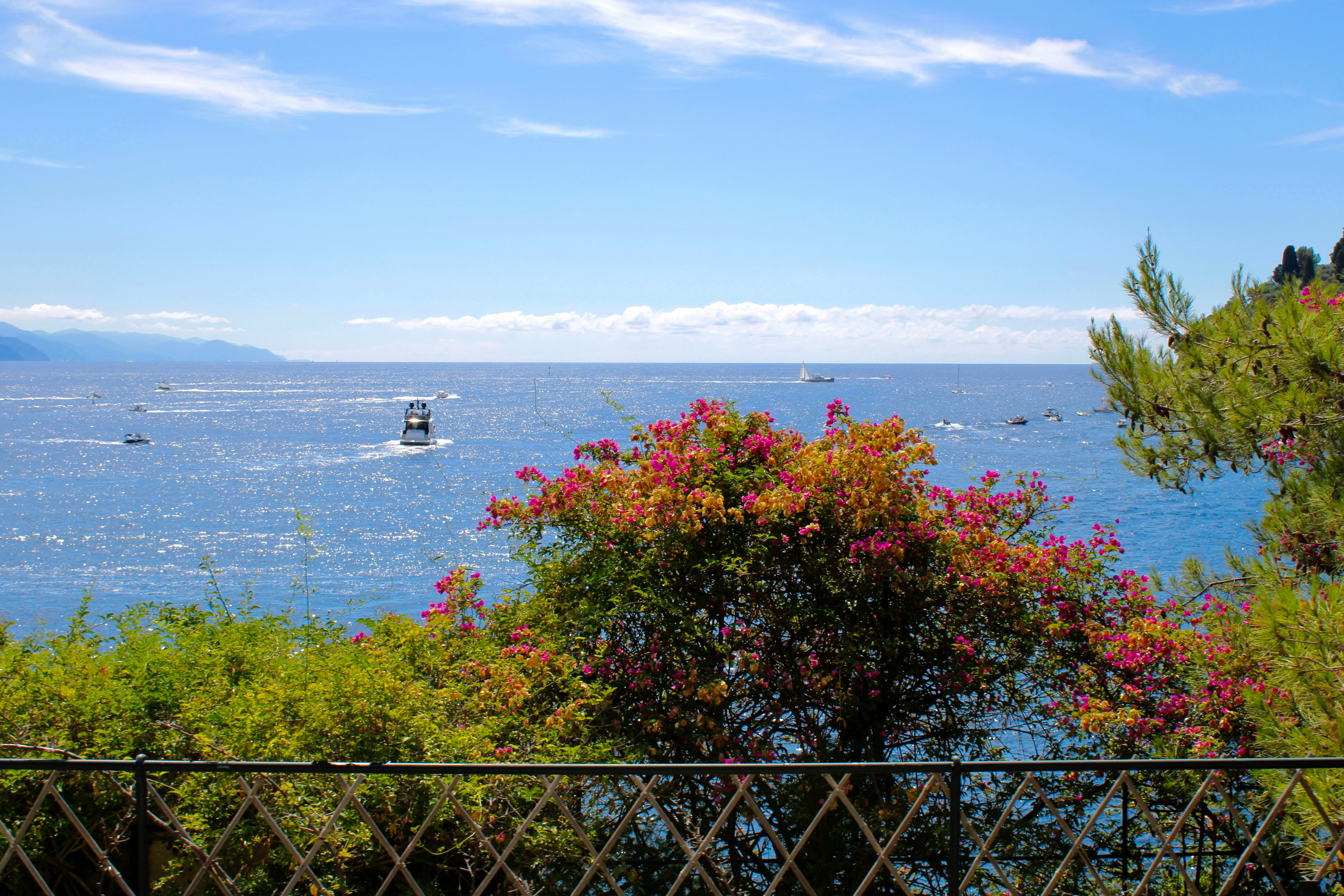 Vibrant coastal scene featuring colorful flowers in the foreground and boats gliding across a shimmering sea under a clear sky.