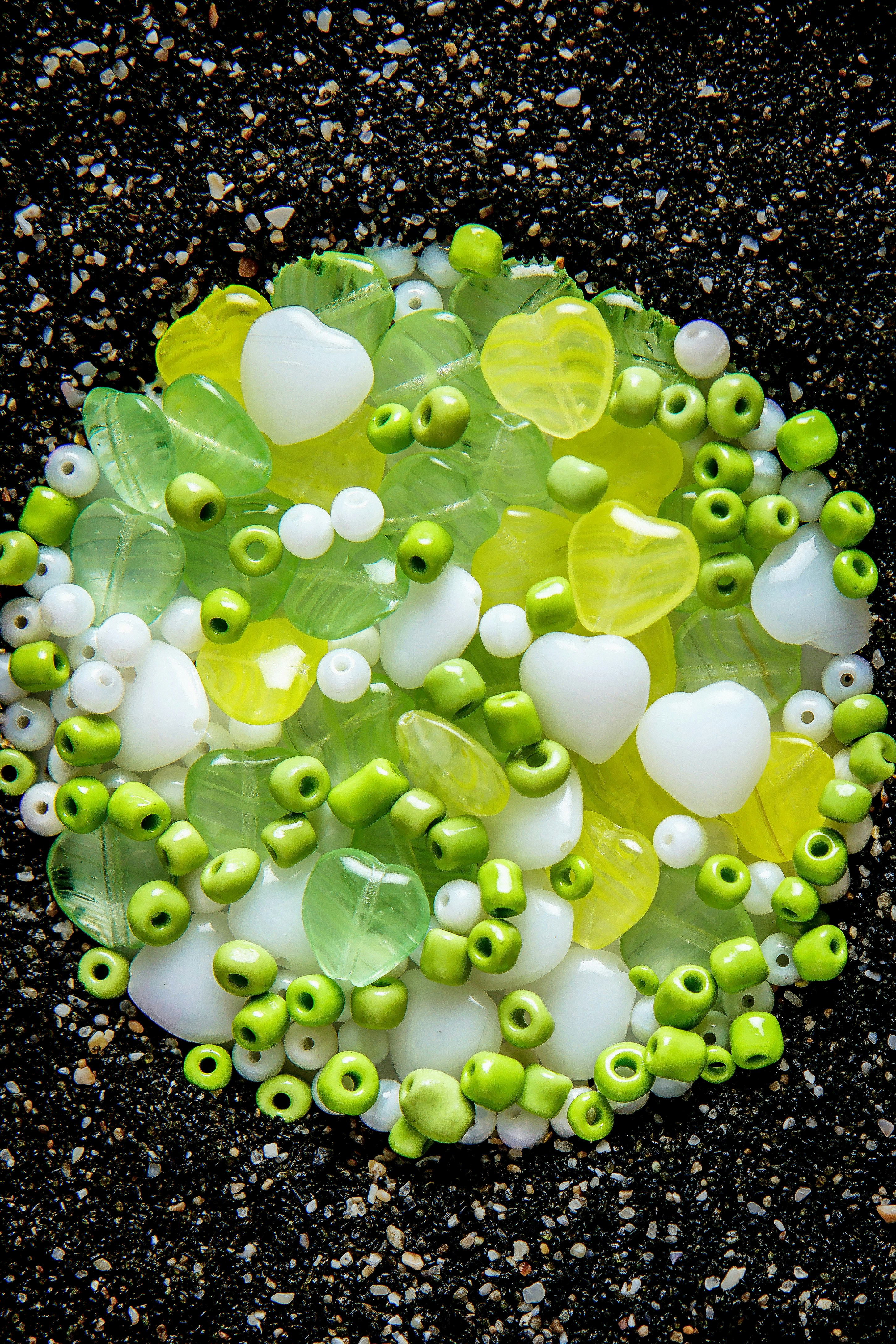 Nature's Mosaic: A Vibrant Collection of Coastal Treasures