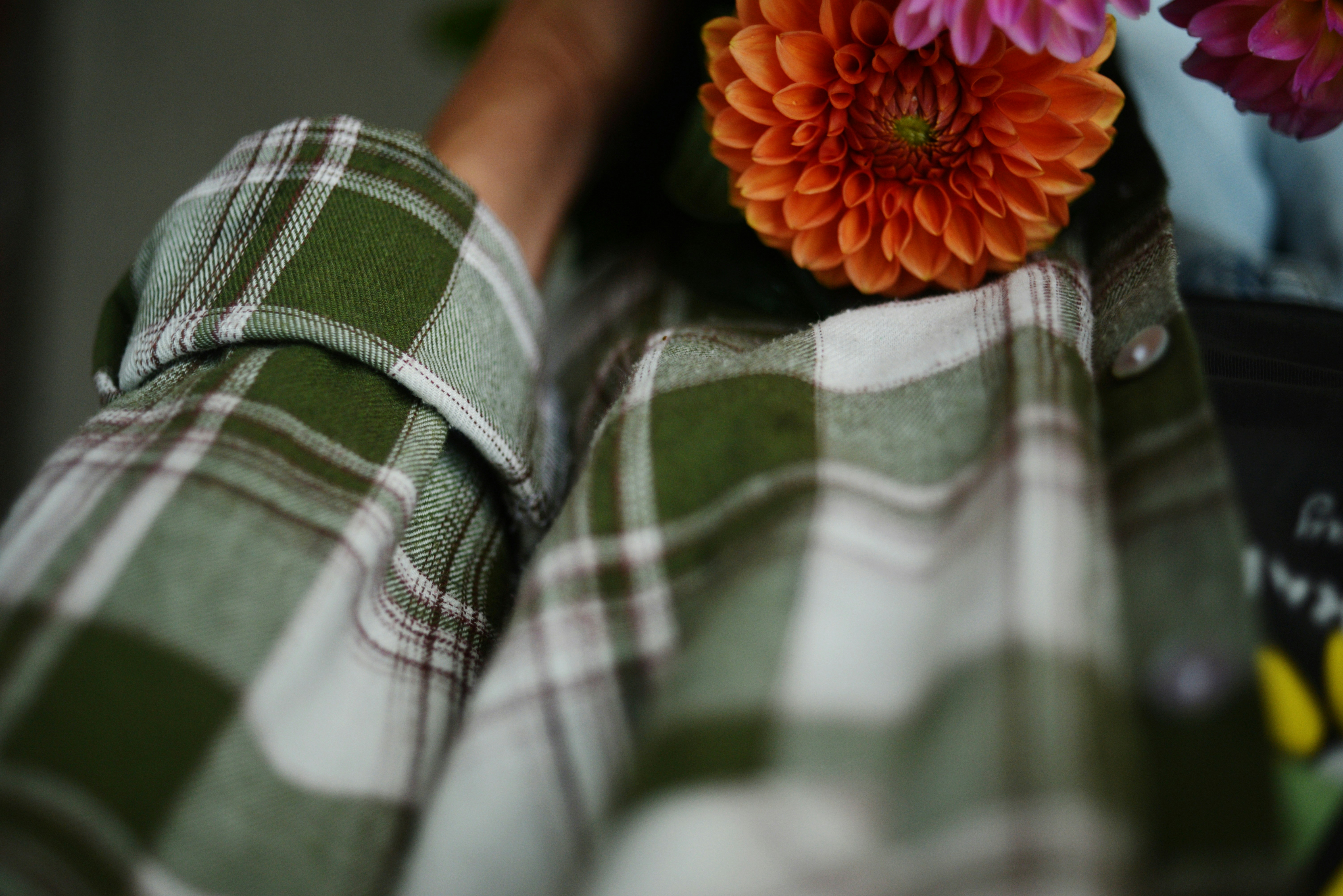 Nature's Embrace: A Floral Touch