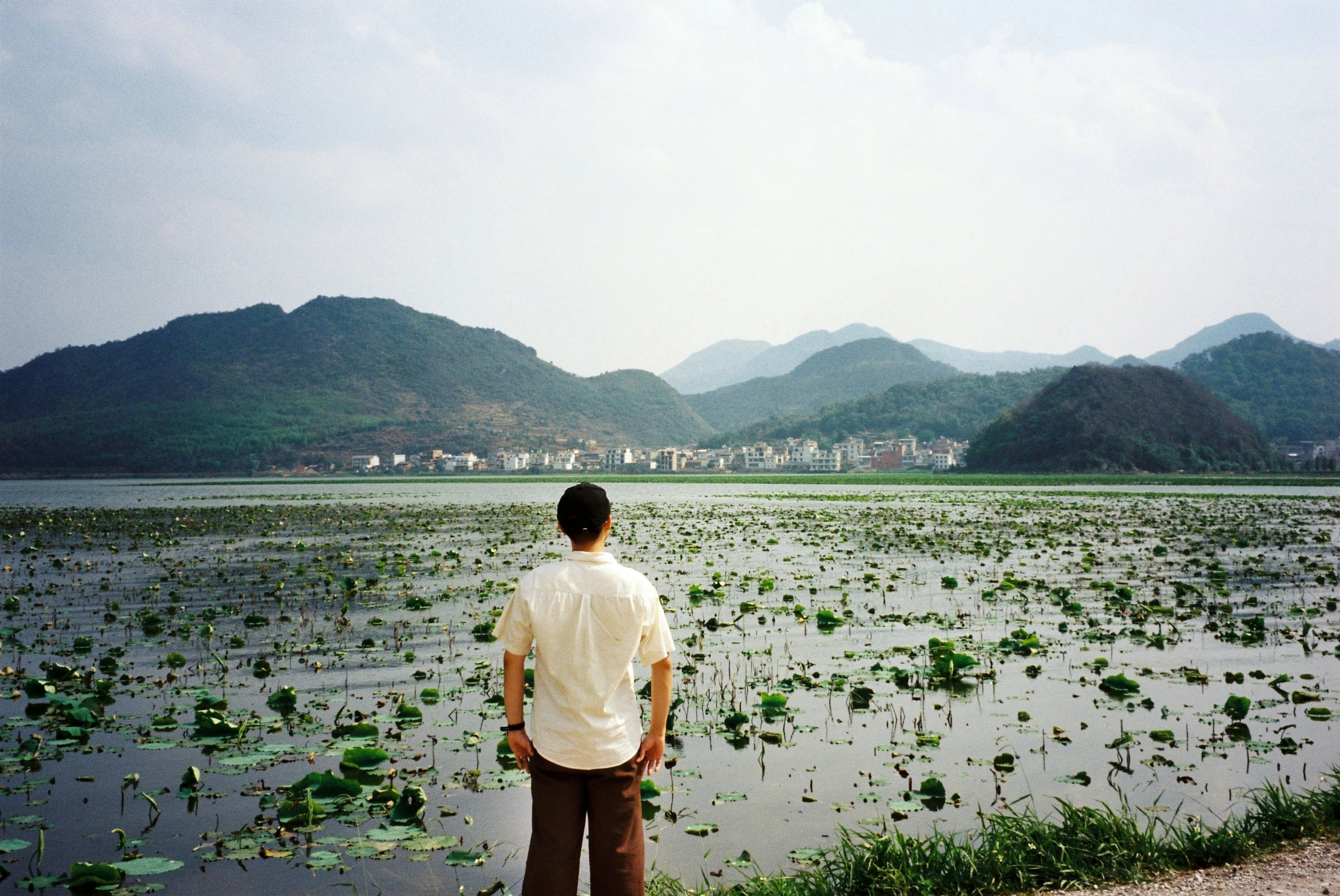 A solitary figure gazes over a serene lake filled with lily pads, framed by distant mountains and a quaint town. The scene embodies a moment of introspection and natural beauty.