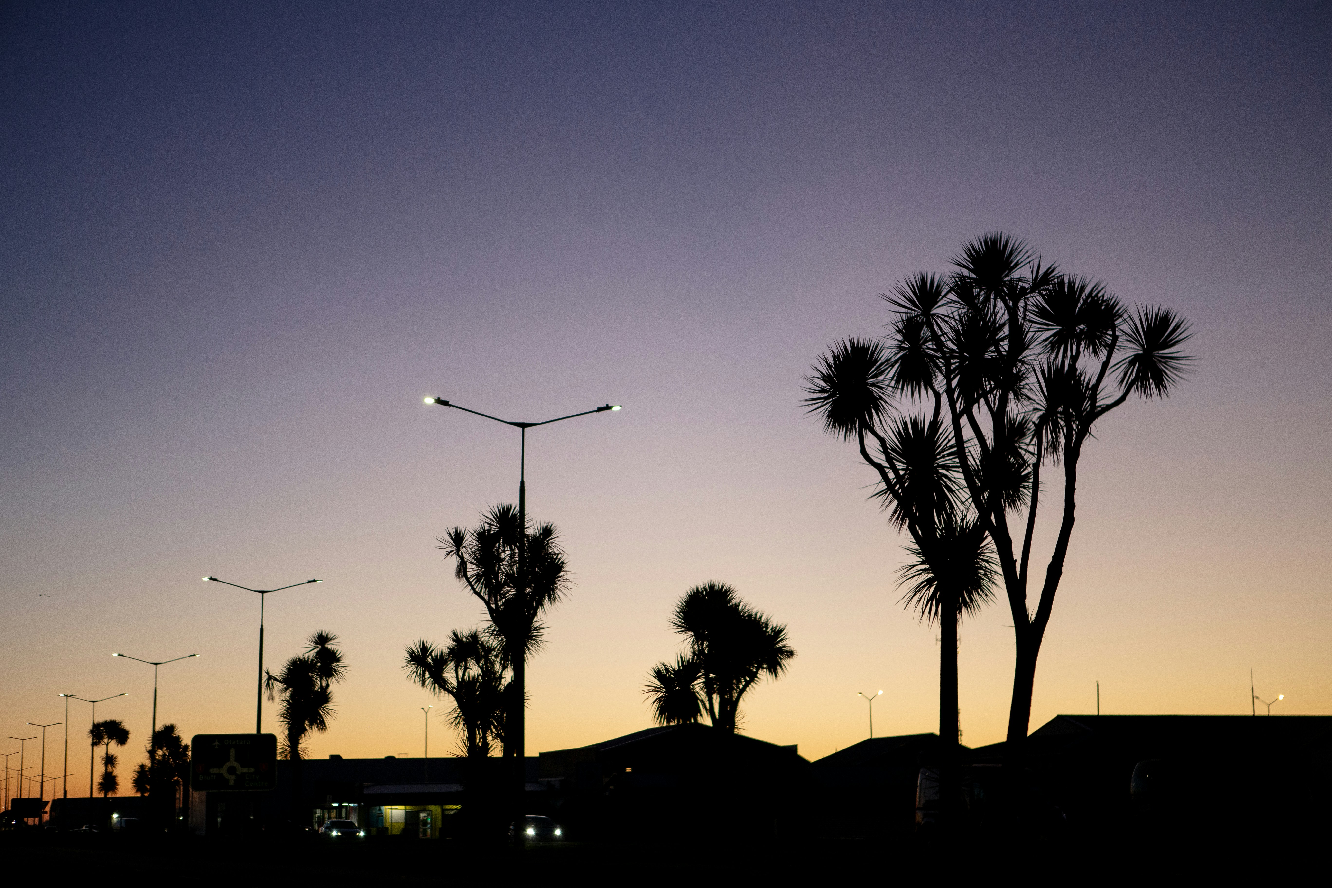 Silhouetted palm trees and streetlights against a gradient twilight sky, creating a serene urban landscape.