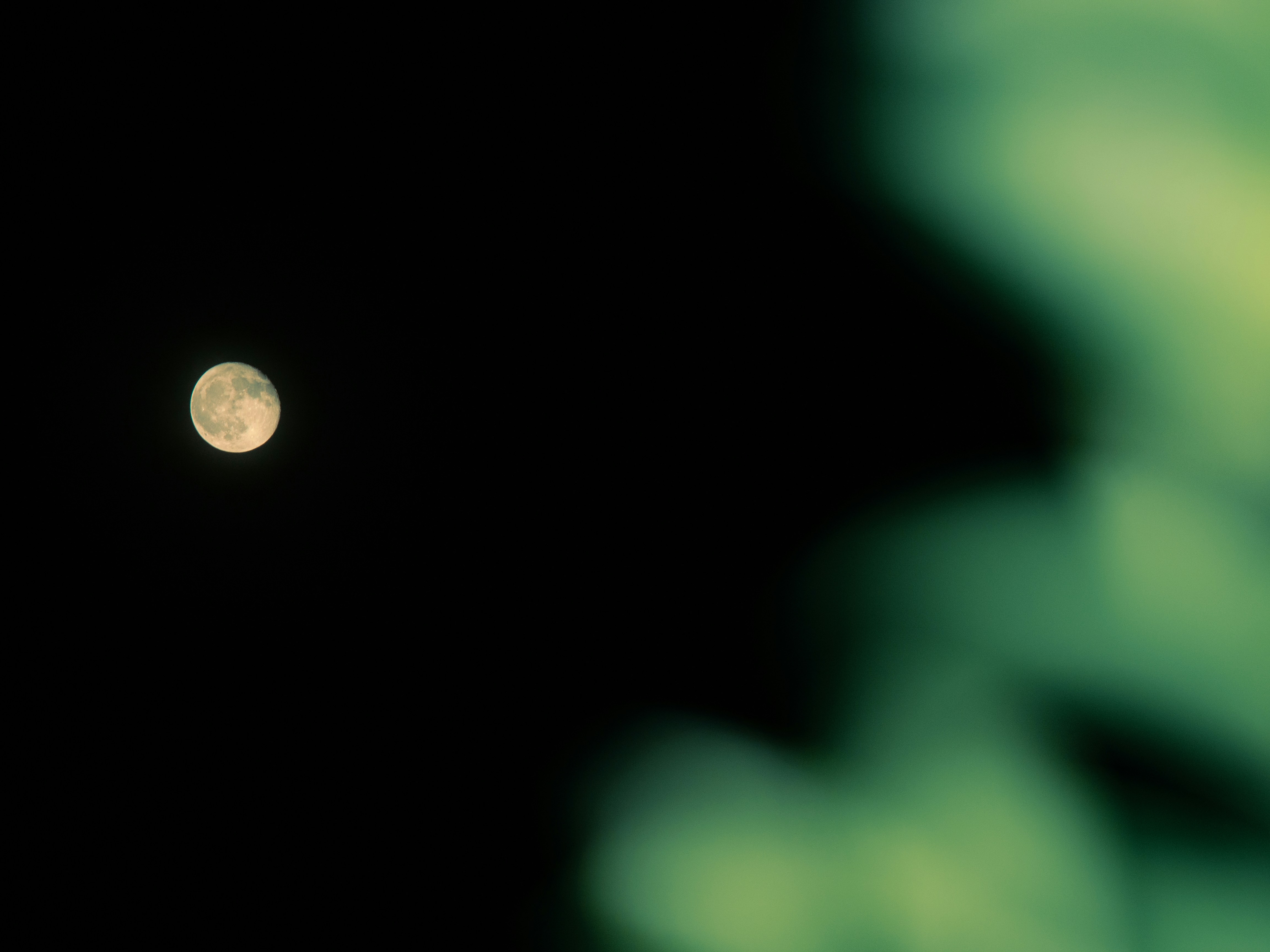 Moonlit Night: A Quiet Crescent Against Velvet Darkness