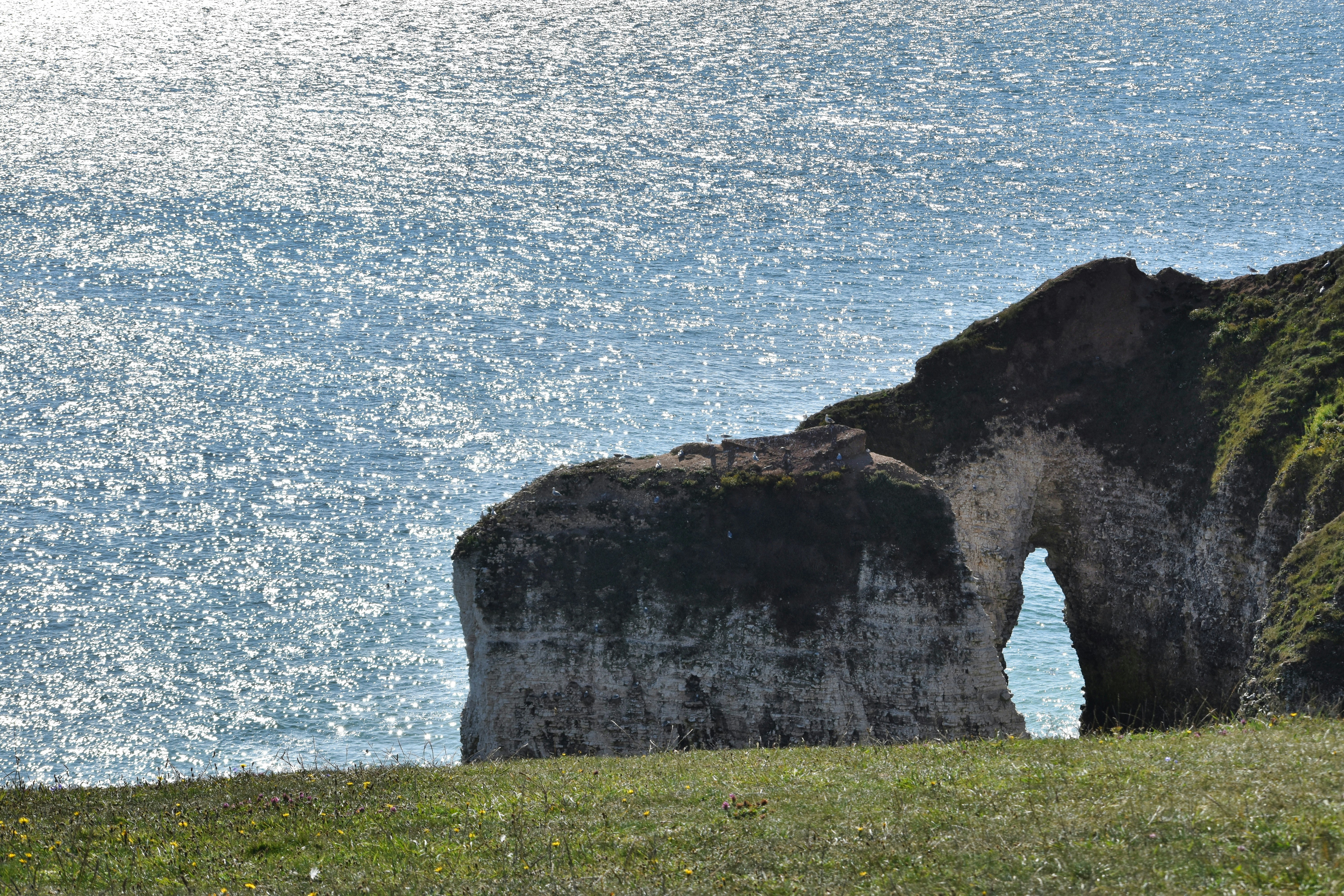 Gateway to the Sea: Nature's Sculpted Arch
