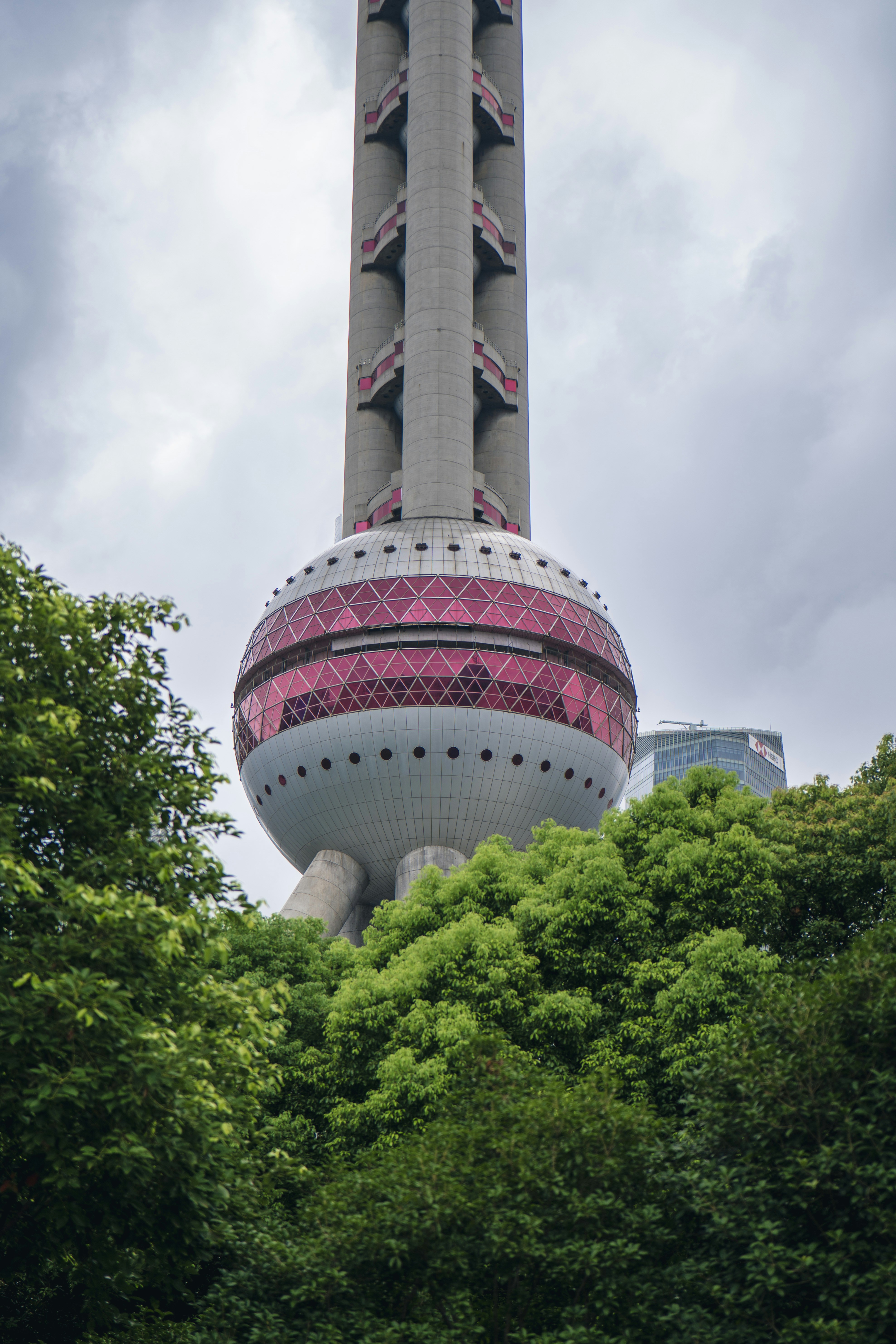 The Modern Marvel of Shanghai's Skyline